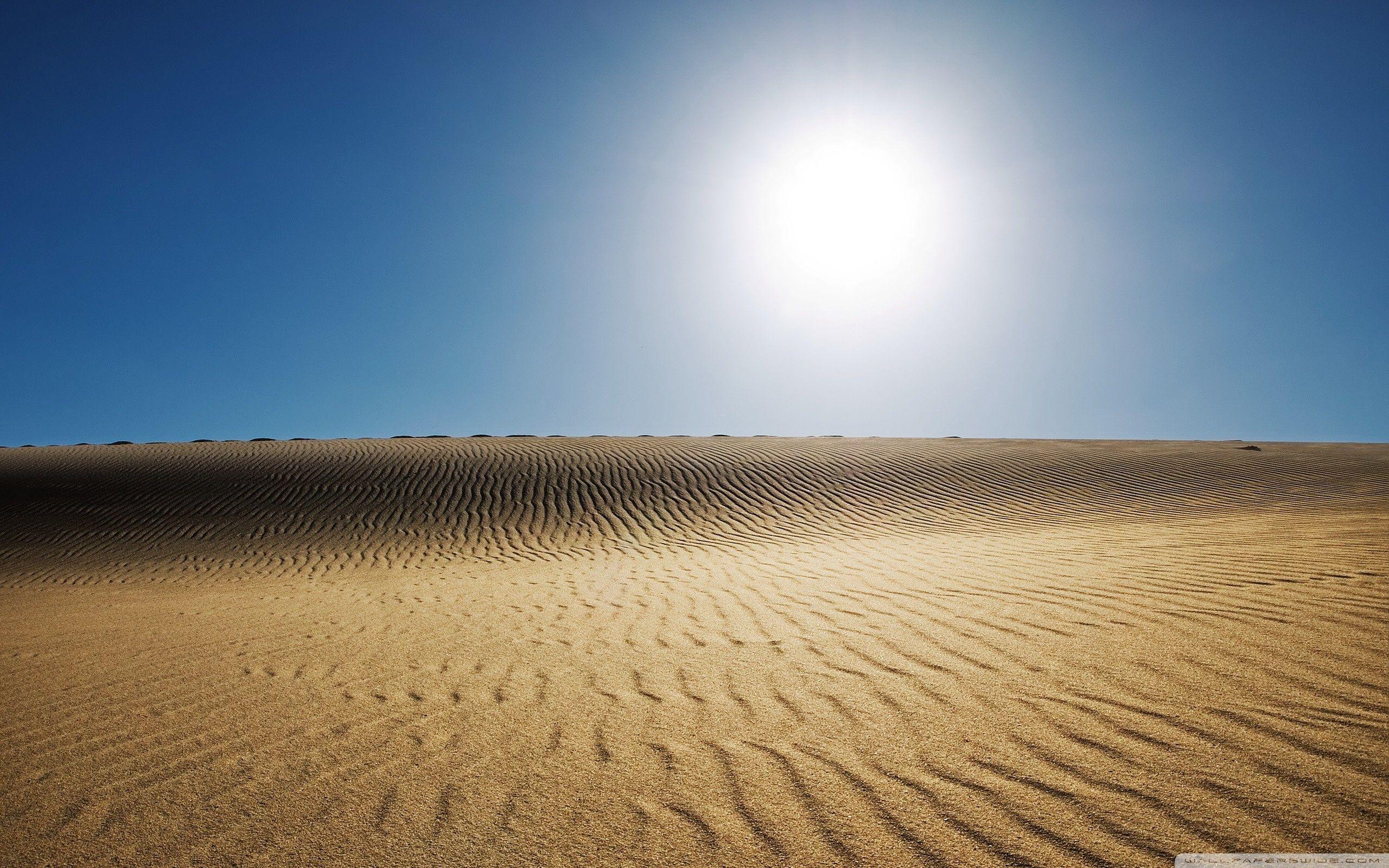 Desert and Sun Wallpapers - Top Free Desert and Sun Backgrounds ...