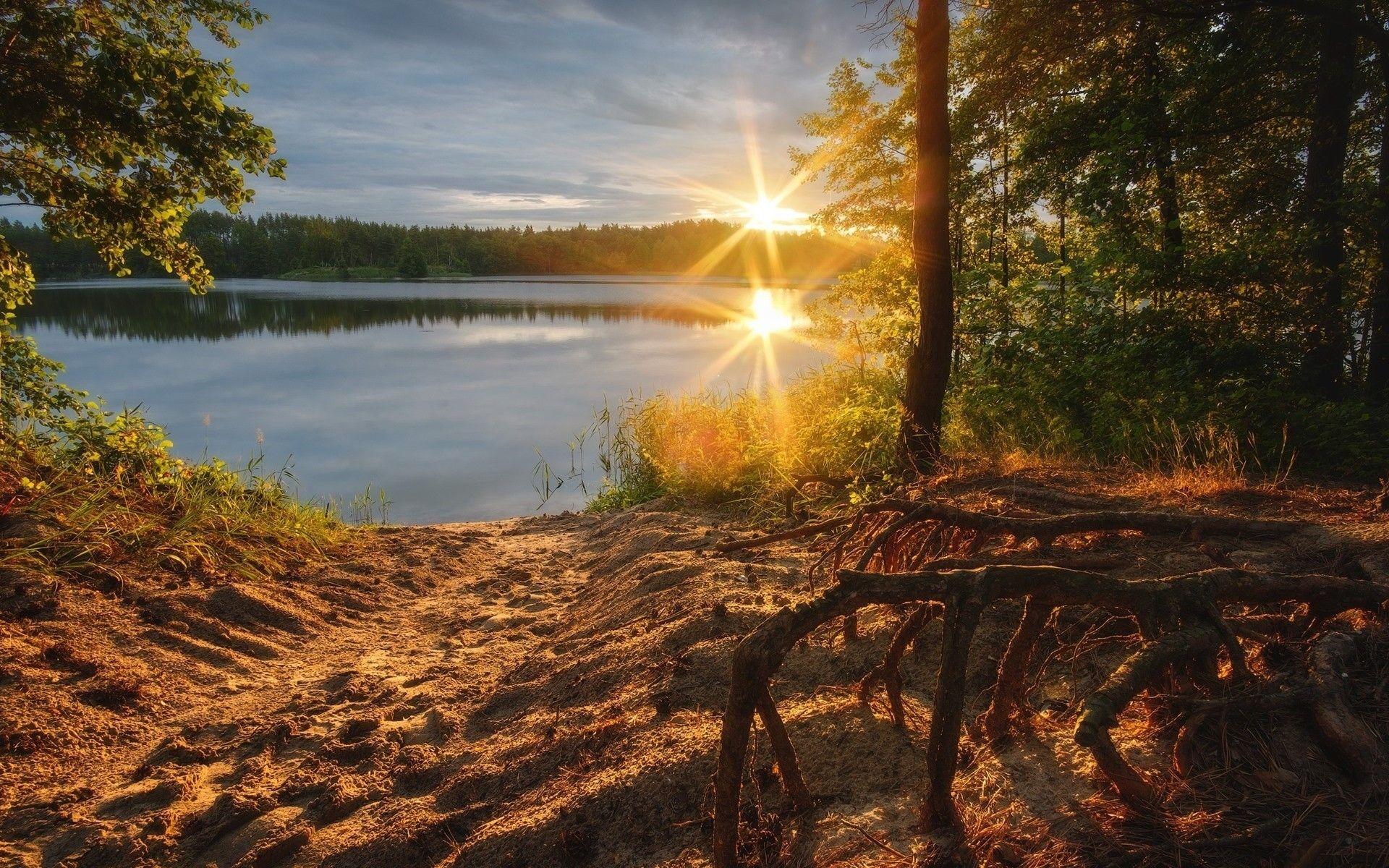 Tree Sunrise Wallpapers - Top Free Tree Sunrise Backgrounds ...