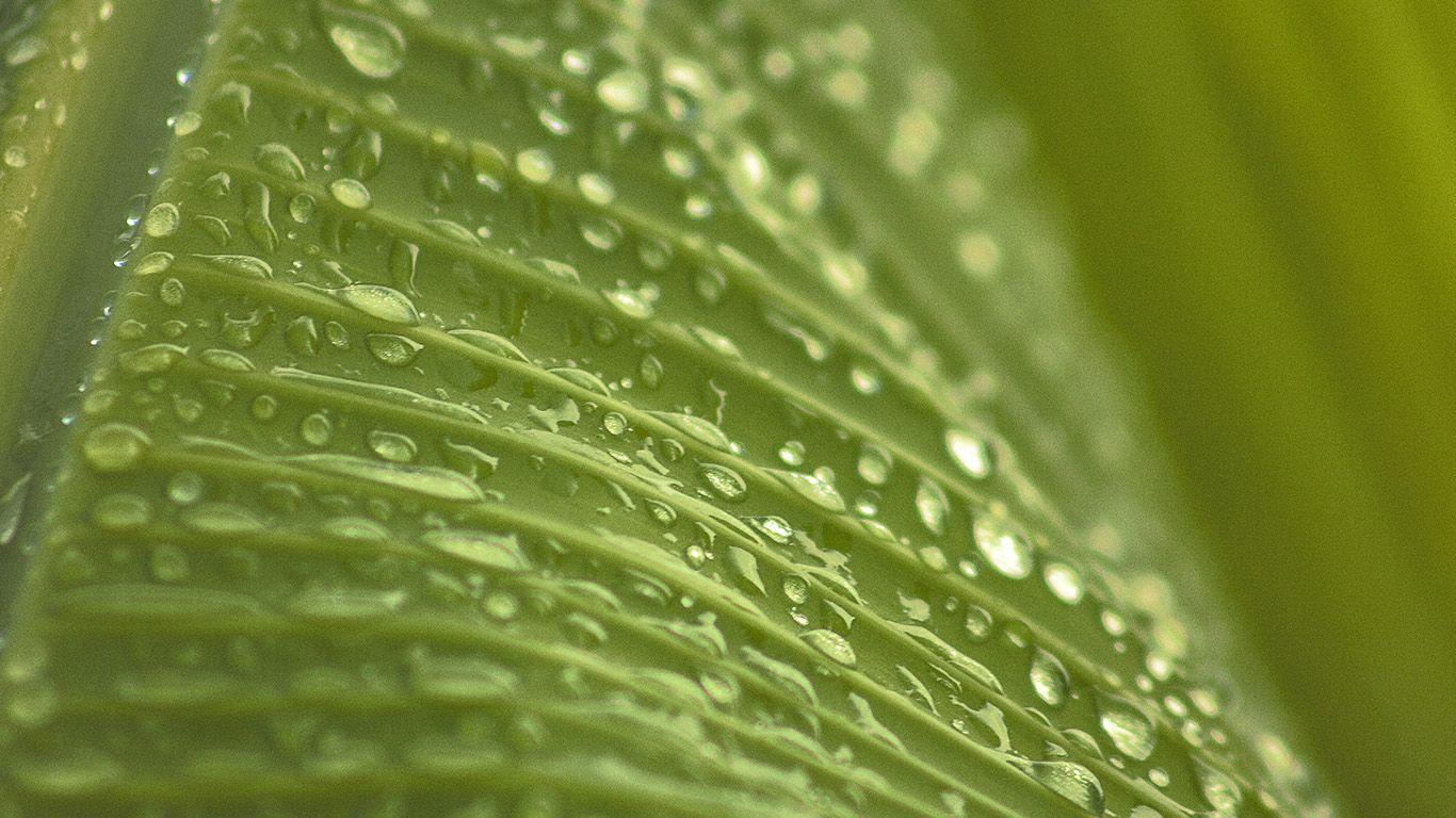 Summer Rain Desktop Wallpapers - Top Free Summer Rain Desktop ...