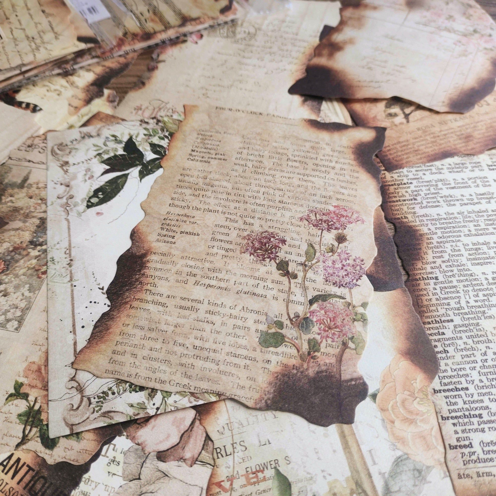 Burnt Paper Wallpapers - Top Free Burnt Paper Backgrounds - WallpaperAccess