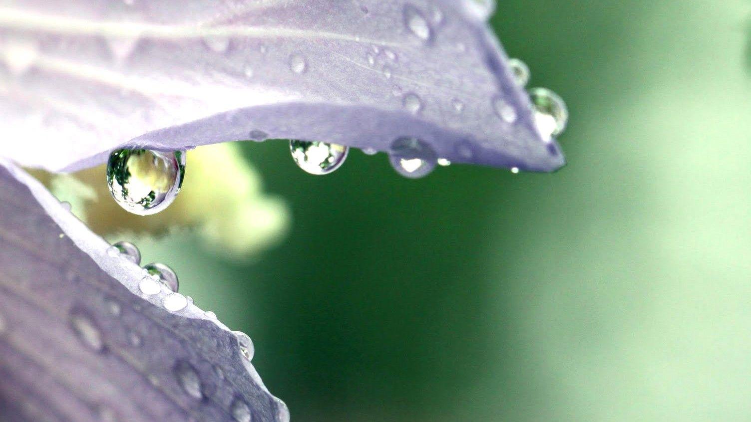 Raindrop Desktop Wallpapers - Top Free Raindrop Desktop Backgrounds ...