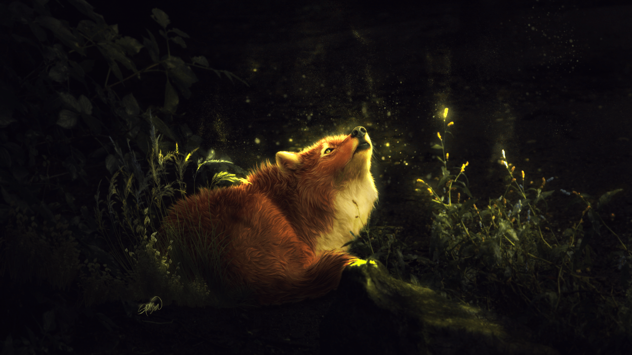 Dark Fox Wallpapers - Top Free Dark Fox Backgrounds - WallpaperAccess