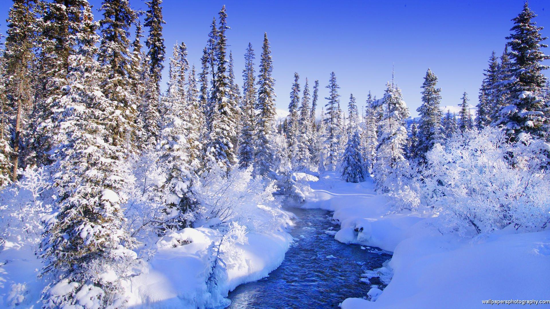 Beautiful Winter Scenes Wallpapers - Top Free Beautiful Winter Scenes ...