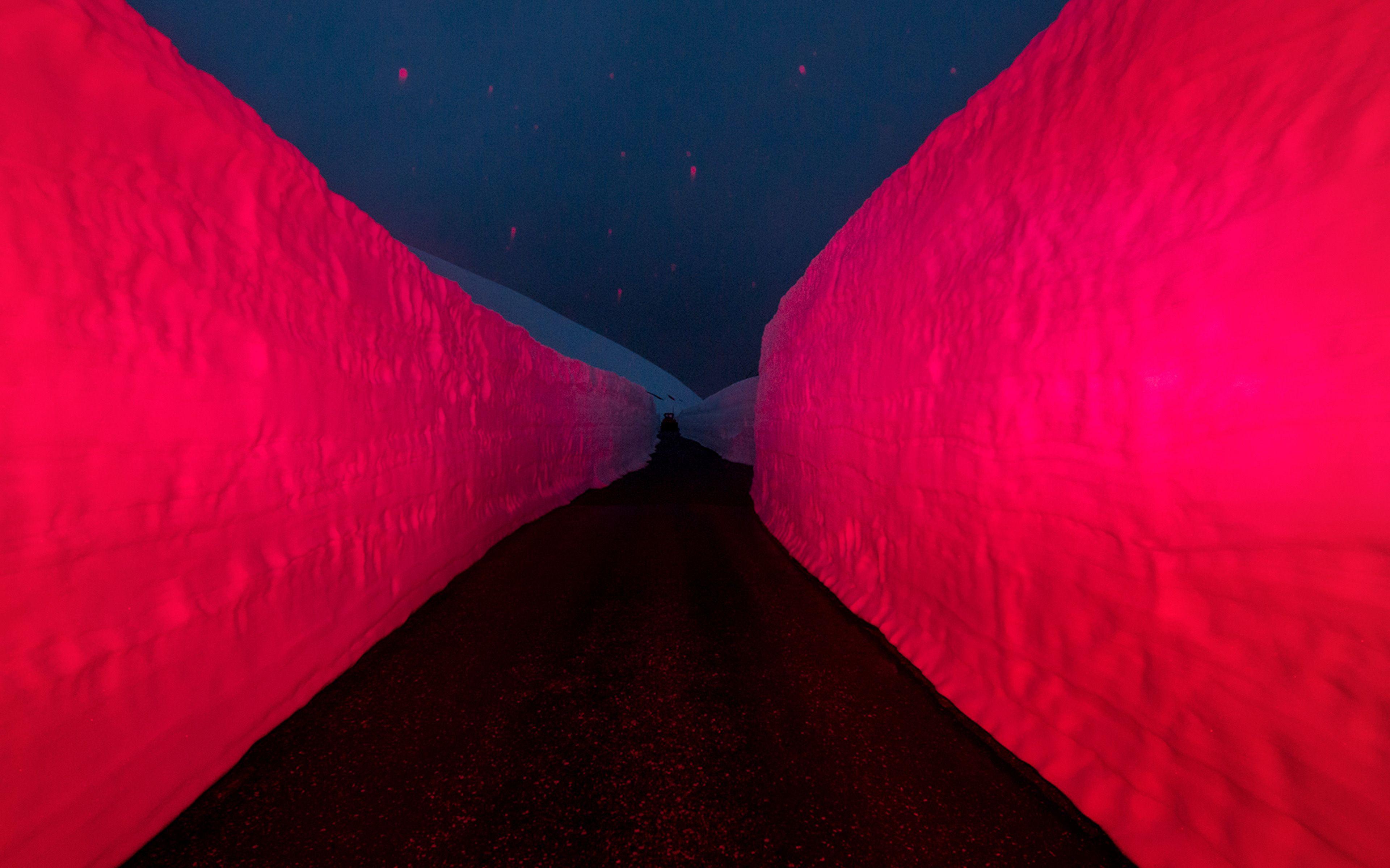 Red Winter Wallpapers - Top Free Red Winter Backgrounds - WallpaperAccess