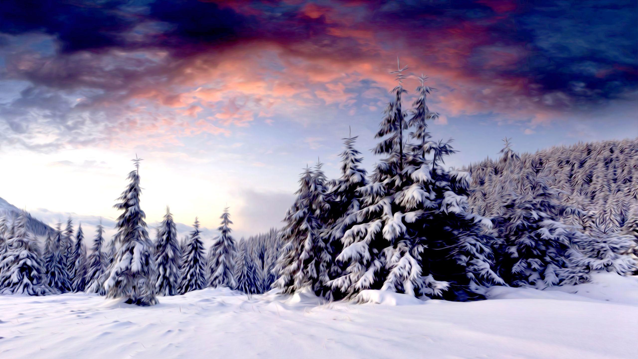 Colorful Winter Wallpapers - Top Free Colorful Winter Backgrounds ...
