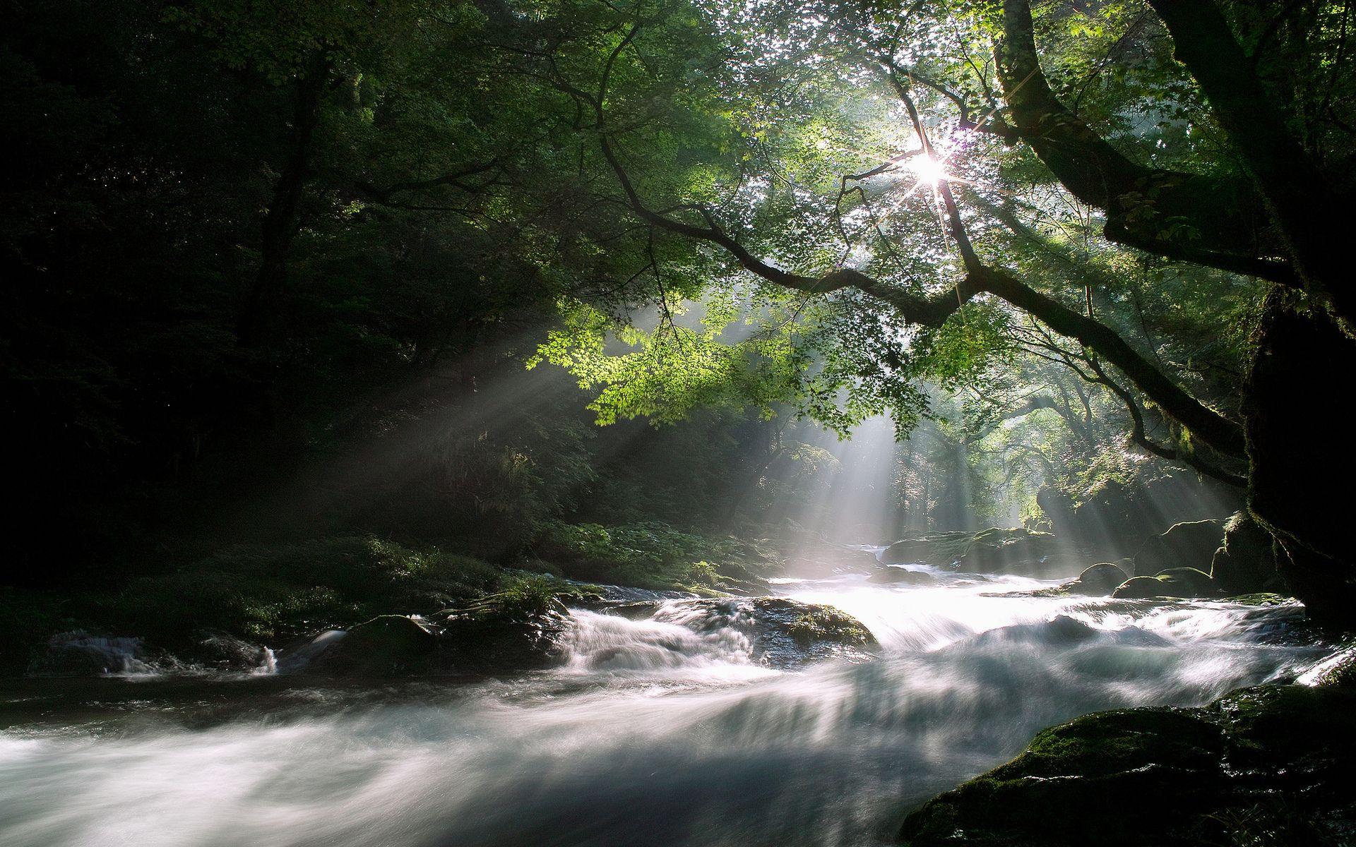 Forest River Wallpapers - Top Free Forest River Backgrounds ...
