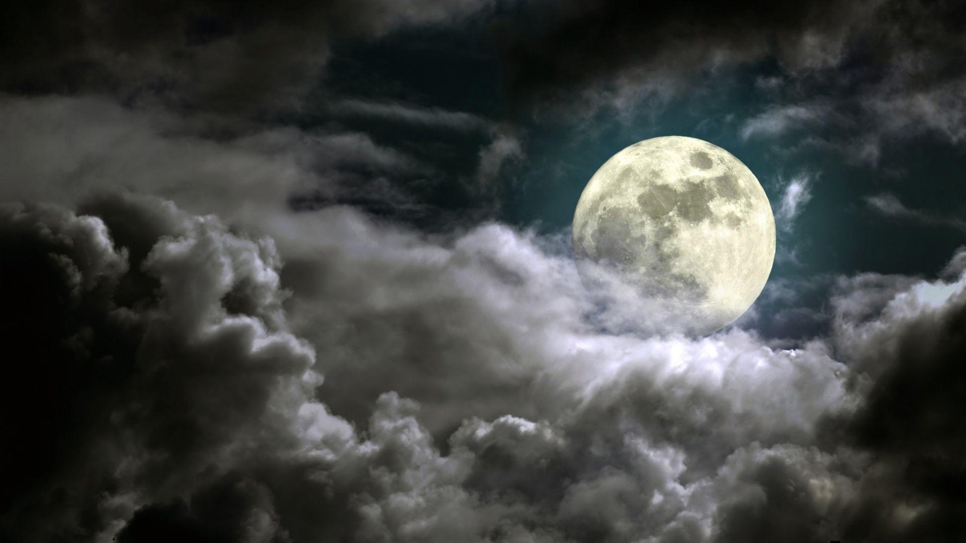 Dark Forest Moon Wallpapers - Top Free Dark Forest Moon Backgrounds ...