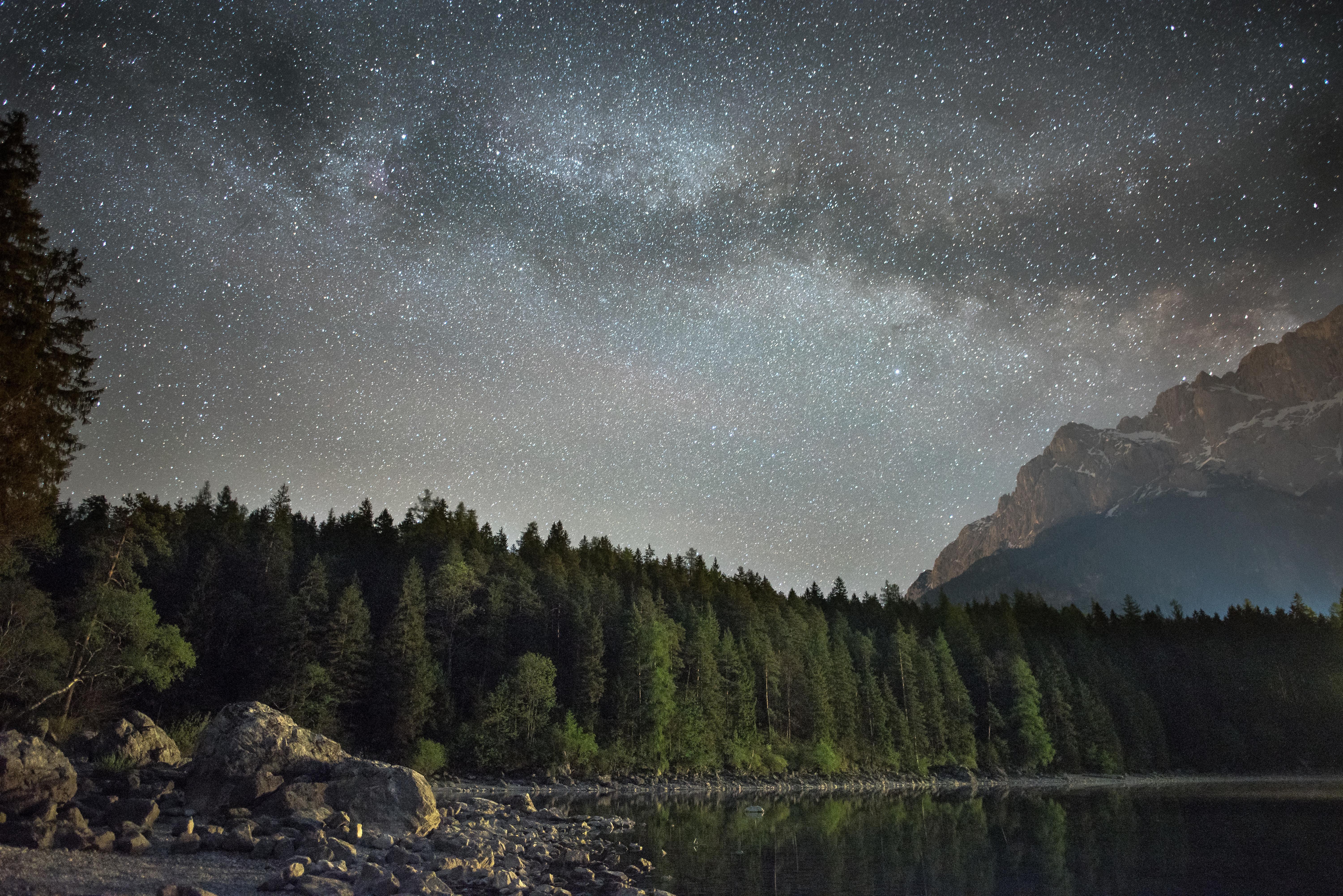 Oregon Forest Night Wallpapers - Top Free Oregon Forest Night ...