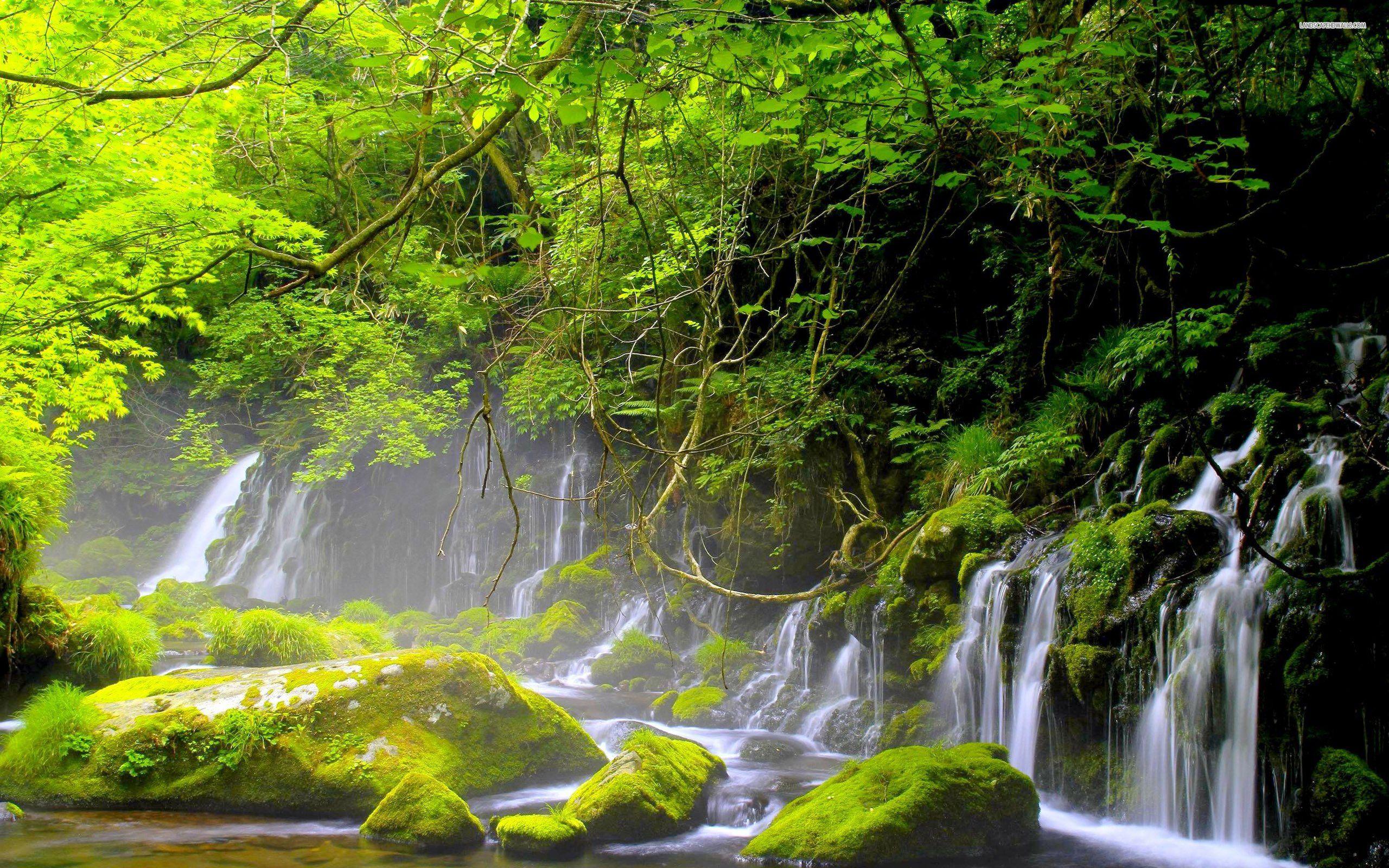 Forest River Wallpapers - Top Free Forest River Backgrounds ...
