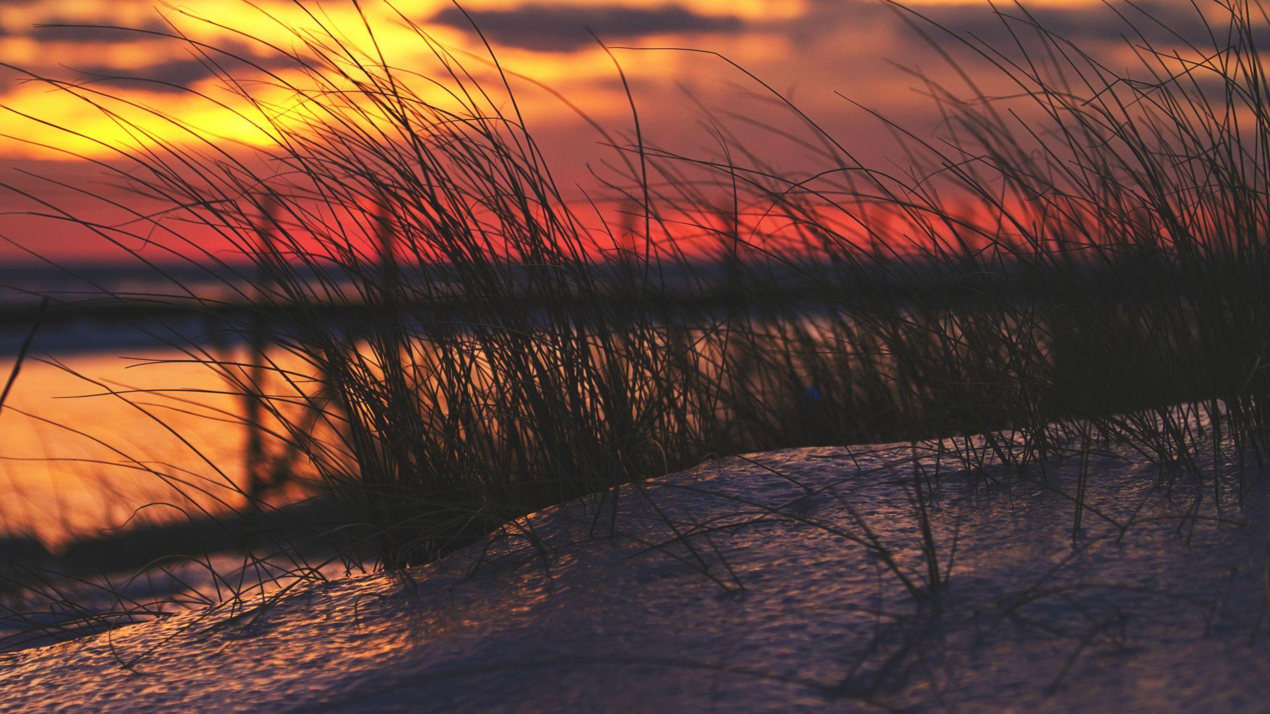 Lake Michigan Wallpapers - Top Free Lake Michigan Backgrounds ...