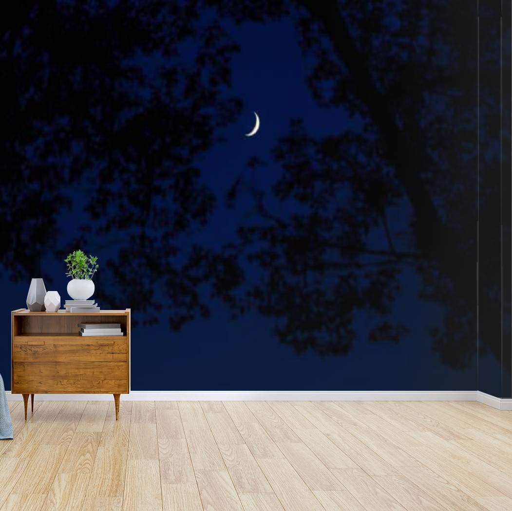 Japanese Moon Wallpapers - Top Free Japanese Moon Backgrounds ...