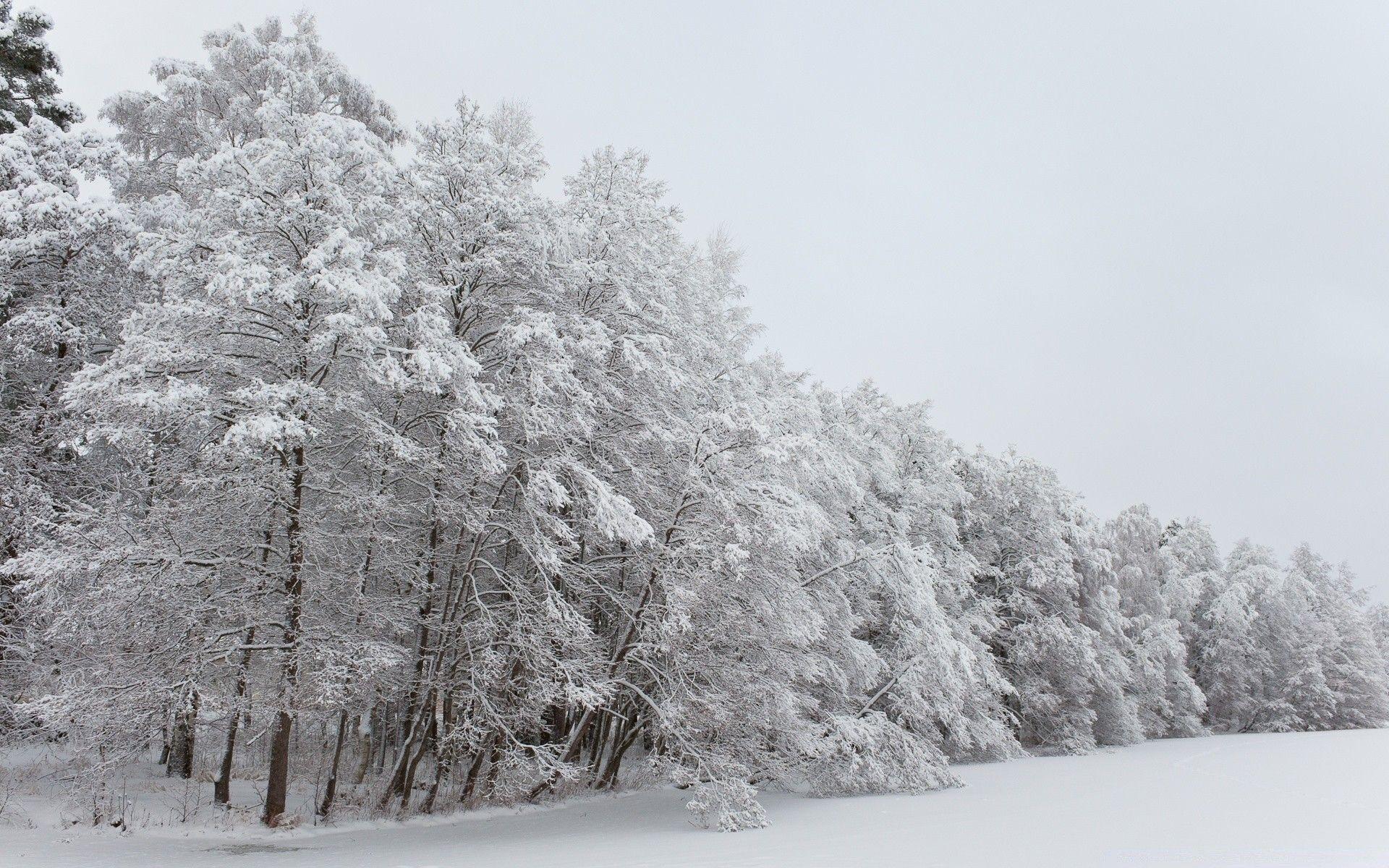 Winter Day Wallpapers - Top Free Winter Day Backgrounds - WallpaperAccess