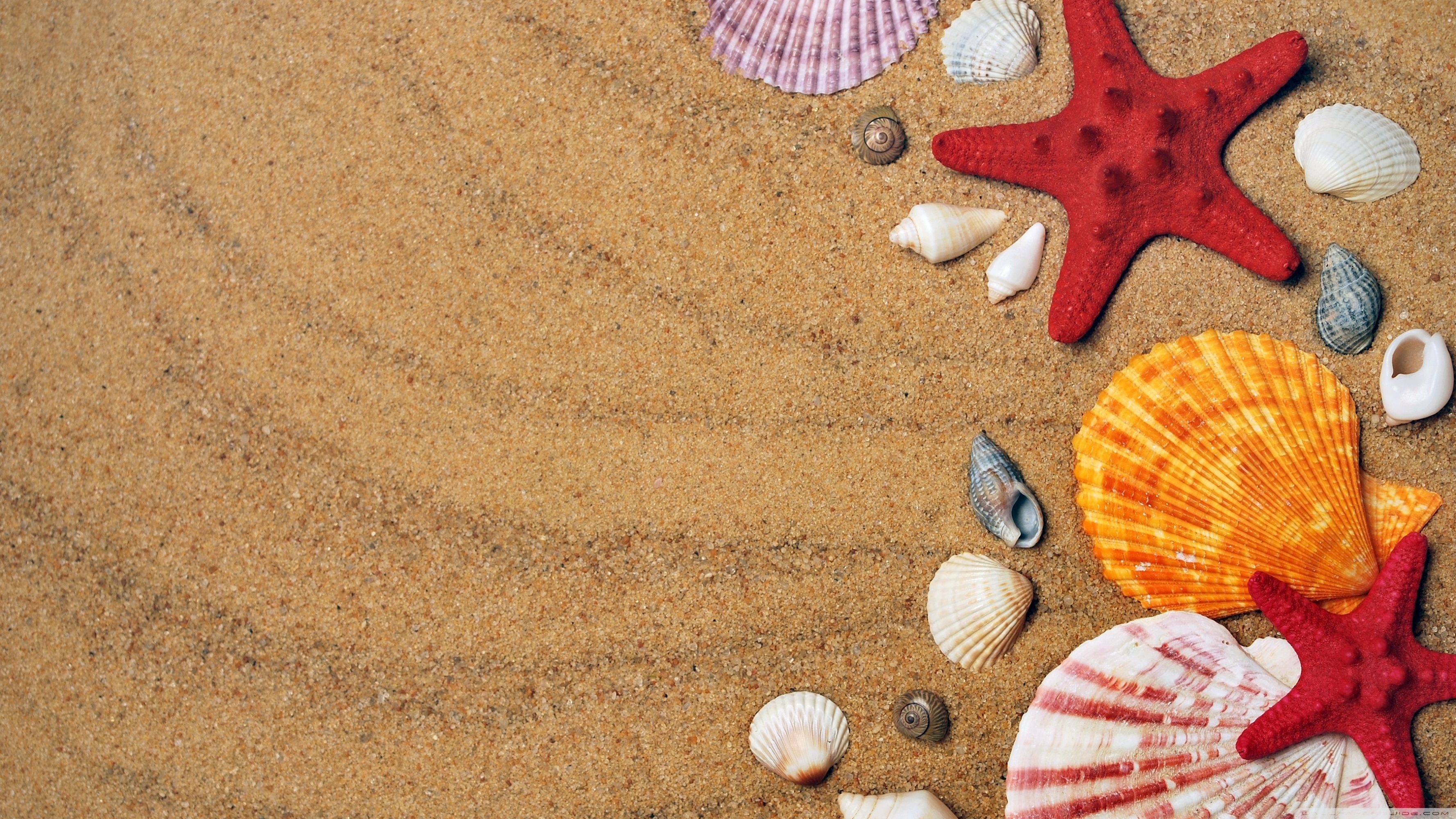Summer Break Wallpapers - Top Free Summer Break Backgrounds ...