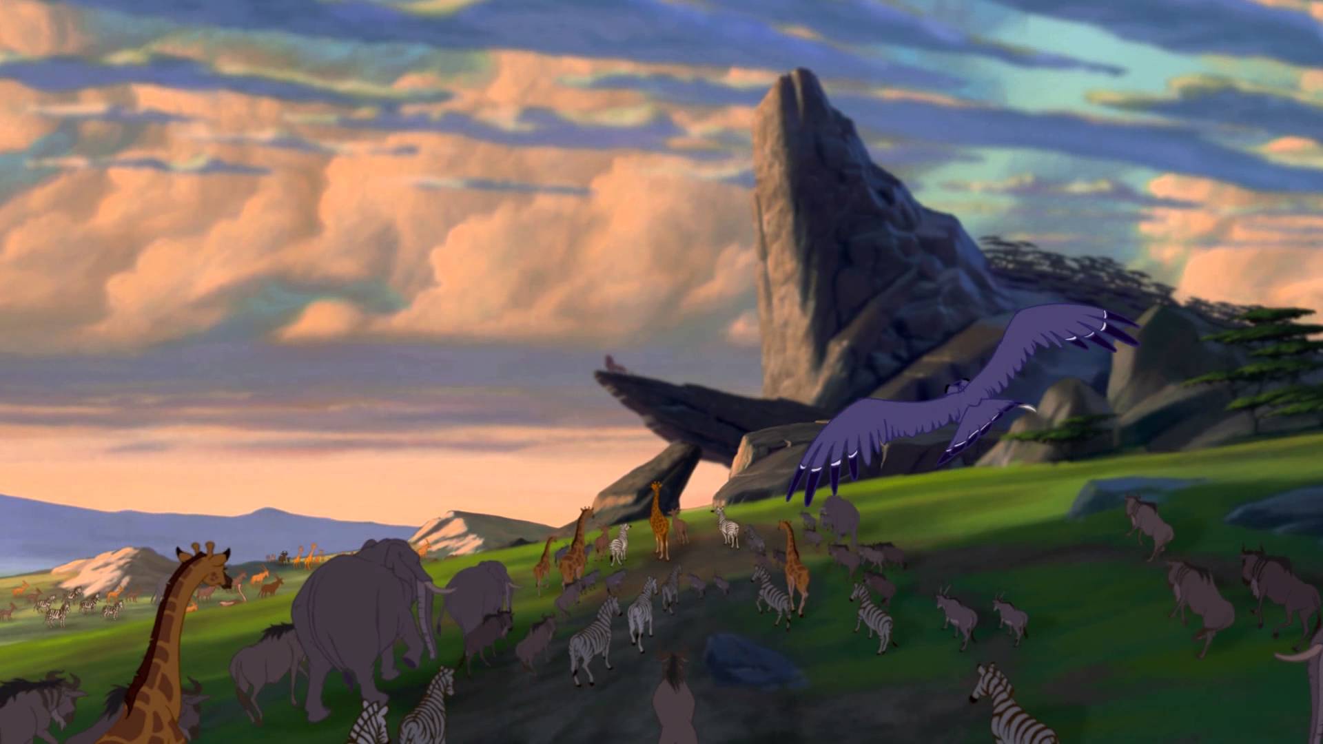 Circle of Life Wallpapers - Top Free Circle of Life Backgrounds ...