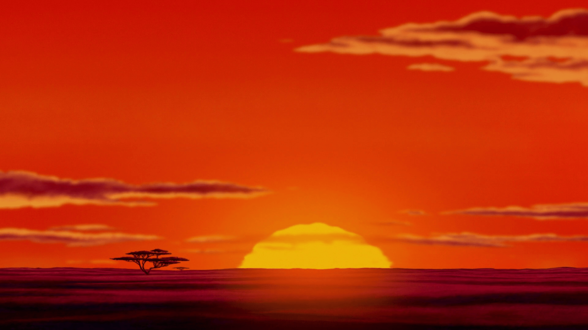 Circle of Life Wallpapers - Top Free Circle of Life Backgrounds ...