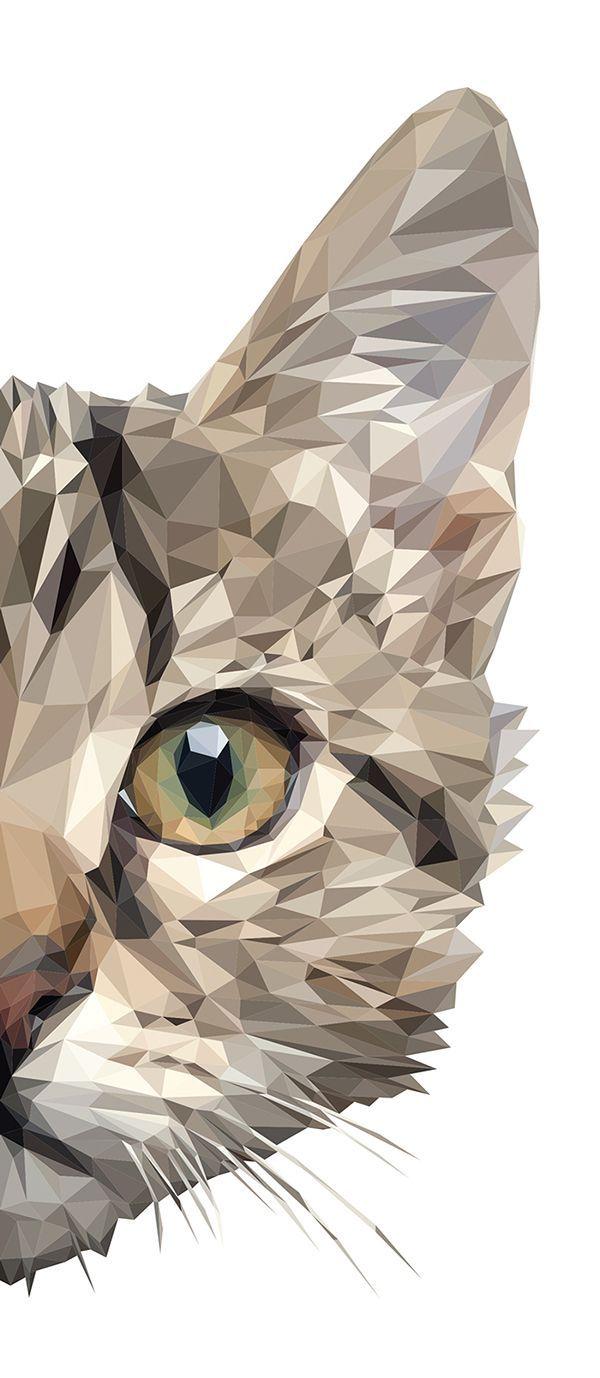 Geometric Cat Wallpapers - Top Free Geometric Cat Backgrounds ...