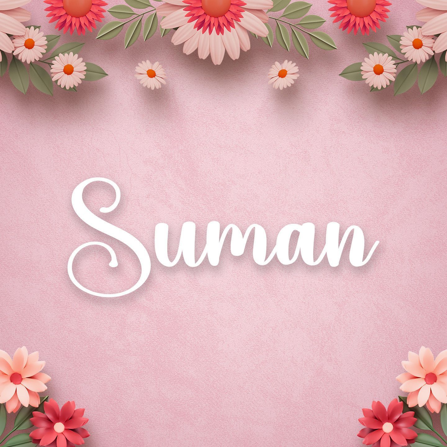 Suman Wallpapers - Top Free Suman Backgrounds - WallpaperAccess
