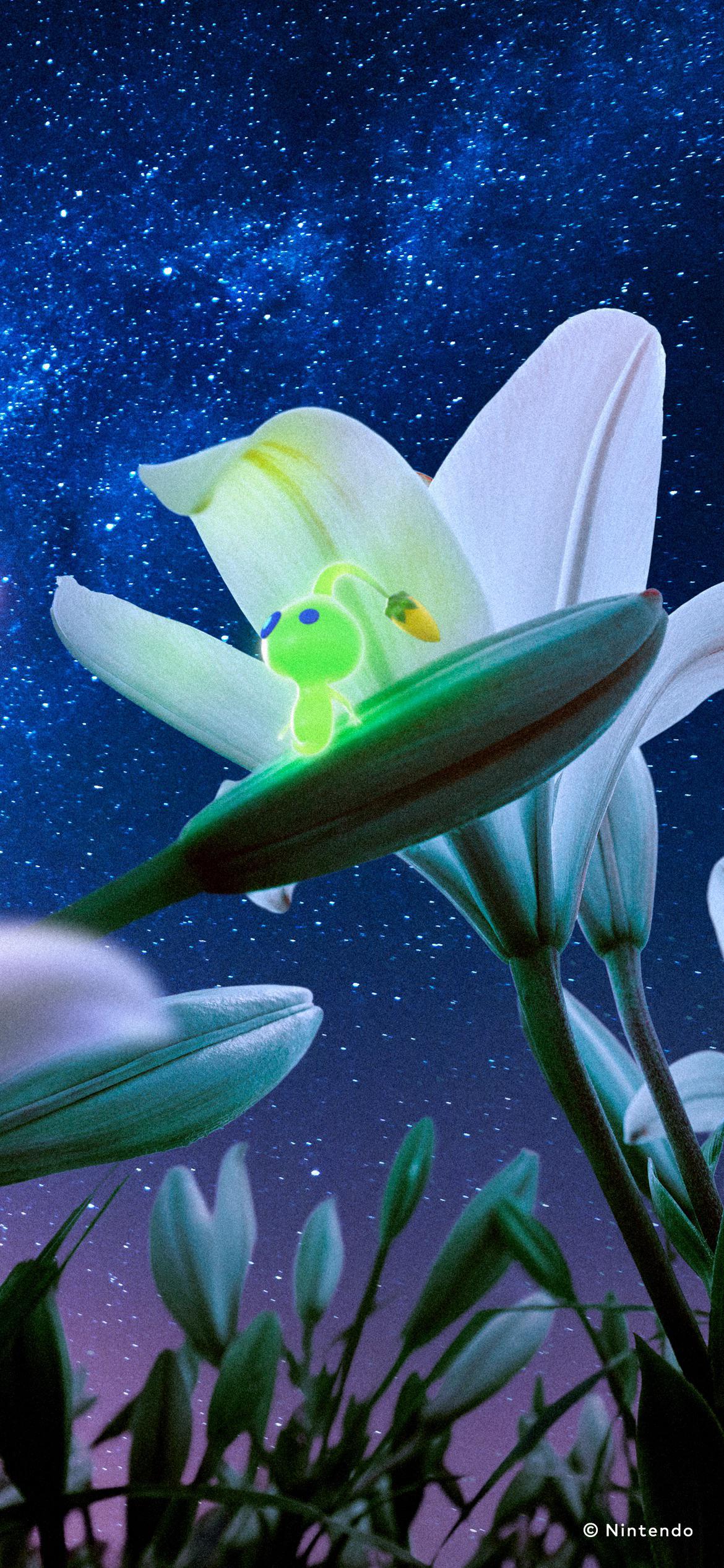 Pikmin 4 Wallpapers - Top Free Pikmin 4 Backgrounds - WallpaperAccess