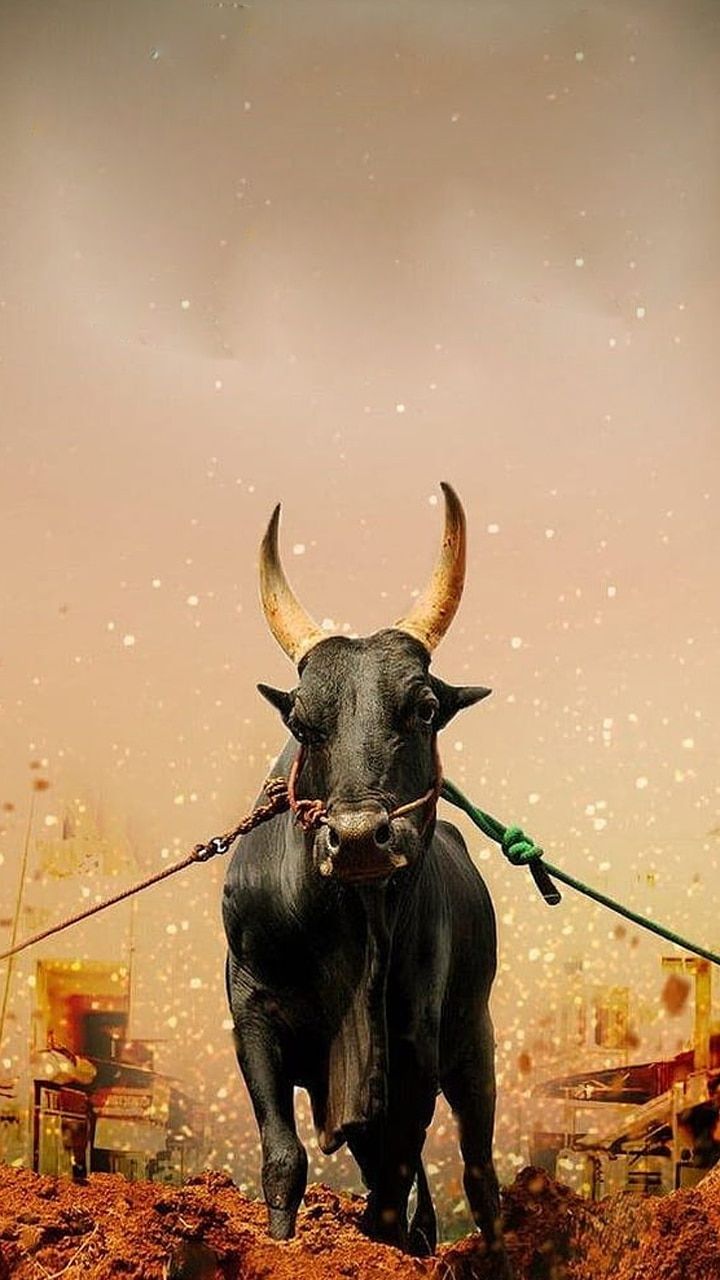 Kaalai Wallpapers - Top Free Kaalai Backgrounds - WallpaperAccess