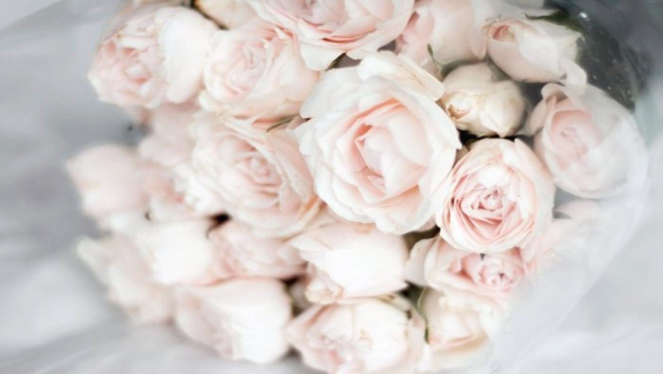 Feminine Desktop Wallpapers - Top Free Feminine Desktop Backgrounds ...
