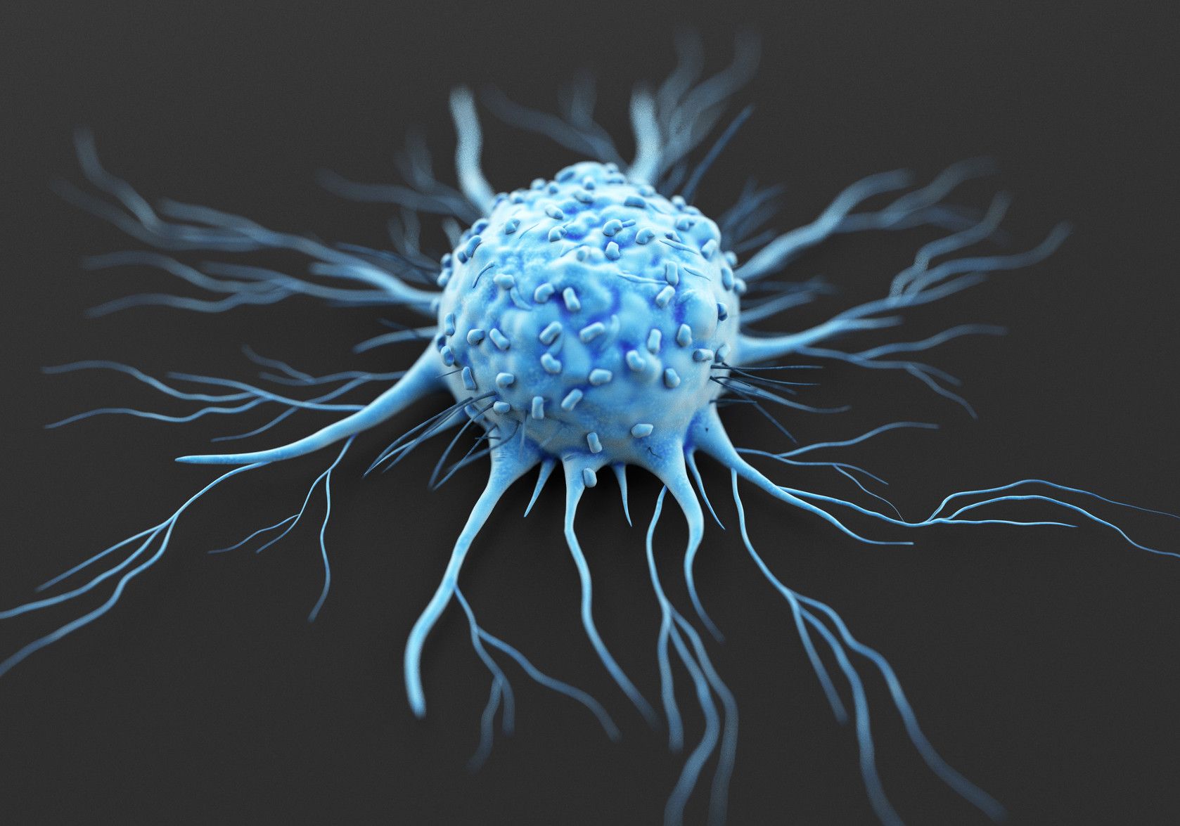 Cancer Cell Wallpapers - Top Free Cancer Cell Backgrounds - WallpaperAccess