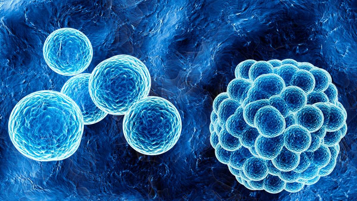 Cancer Cell Wallpapers - Top Free Cancer Cell Backgrounds - WallpaperAccess