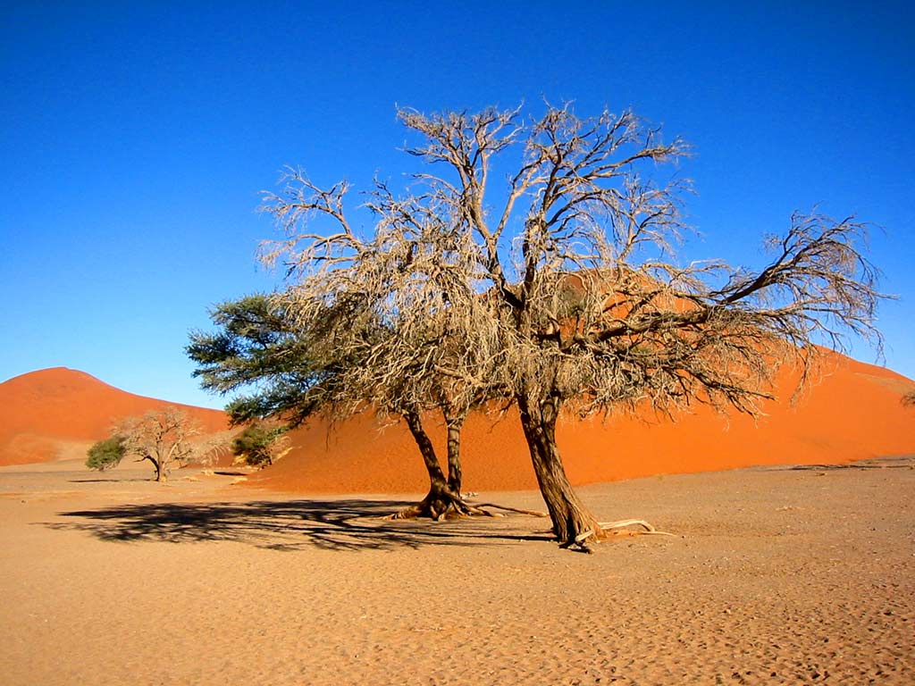 Namibia Wallpapers - Top Free Namibia Backgrounds - WallpaperAccess