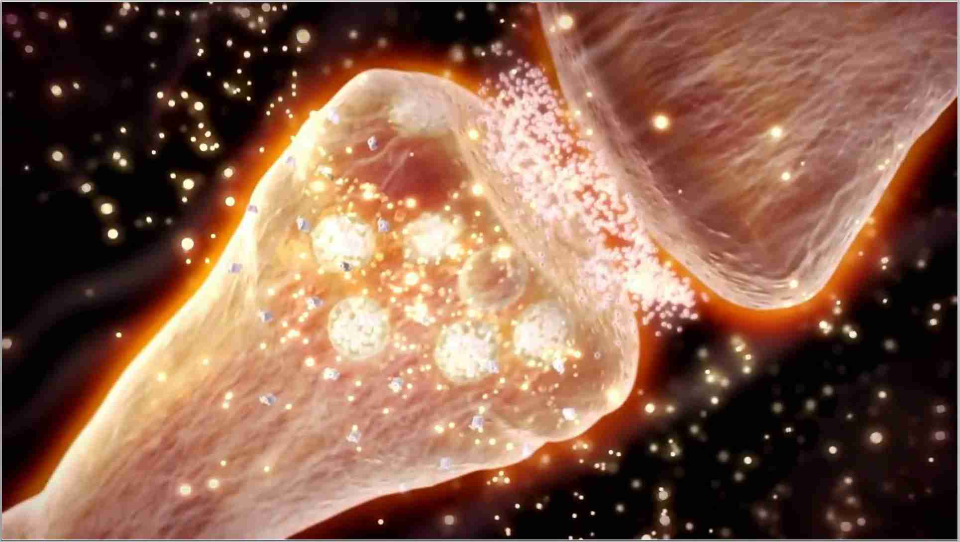 Biochemistry Wallpapers - Top Free Biochemistry Backgrounds ...