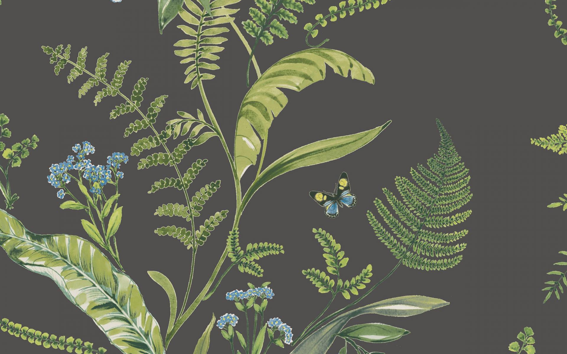 Fern Wallpapers - Top Free Fern Backgrounds - WallpaperAccess