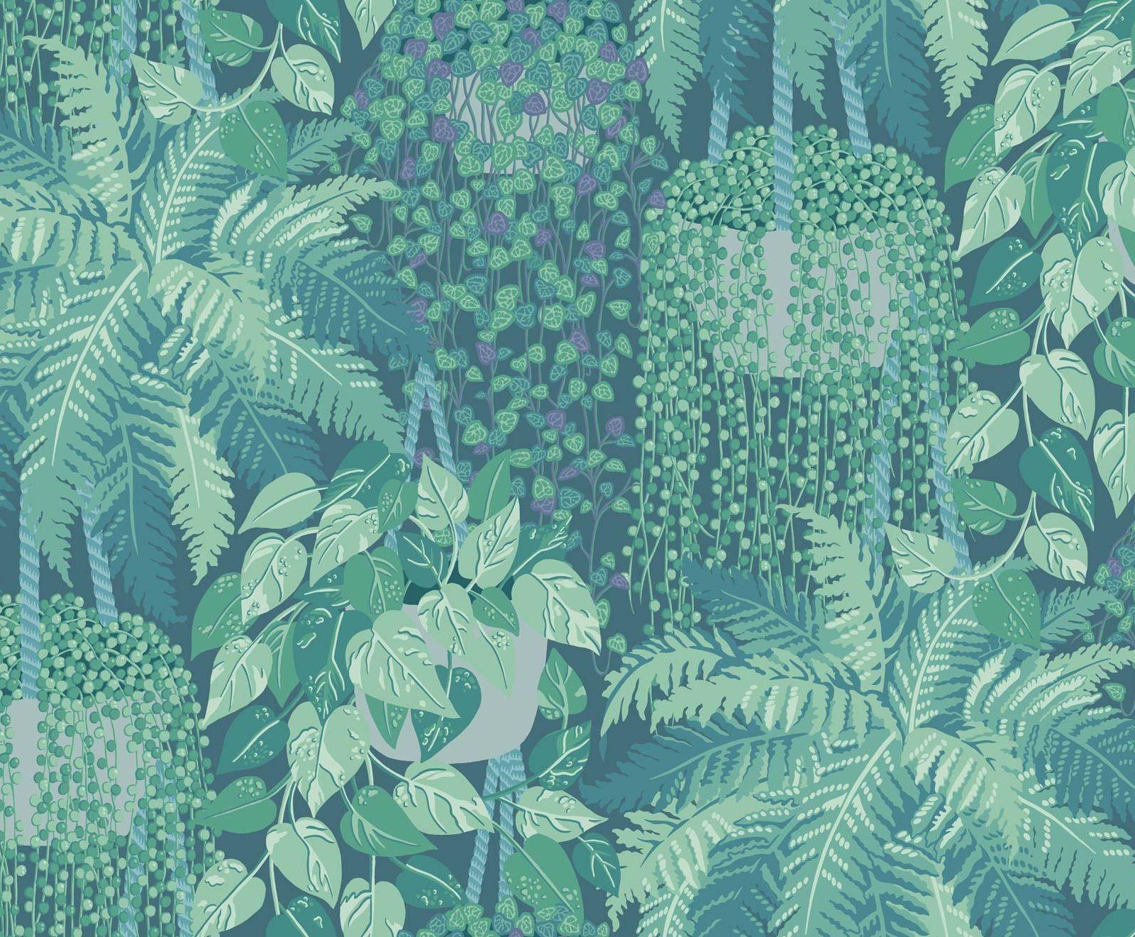 Fern Wallpapers - Top Free Fern Backgrounds - WallpaperAccess