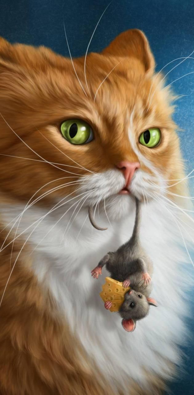 Cat and Mouse Wallpapers - Top Free Cat and Mouse Backgrounds ...