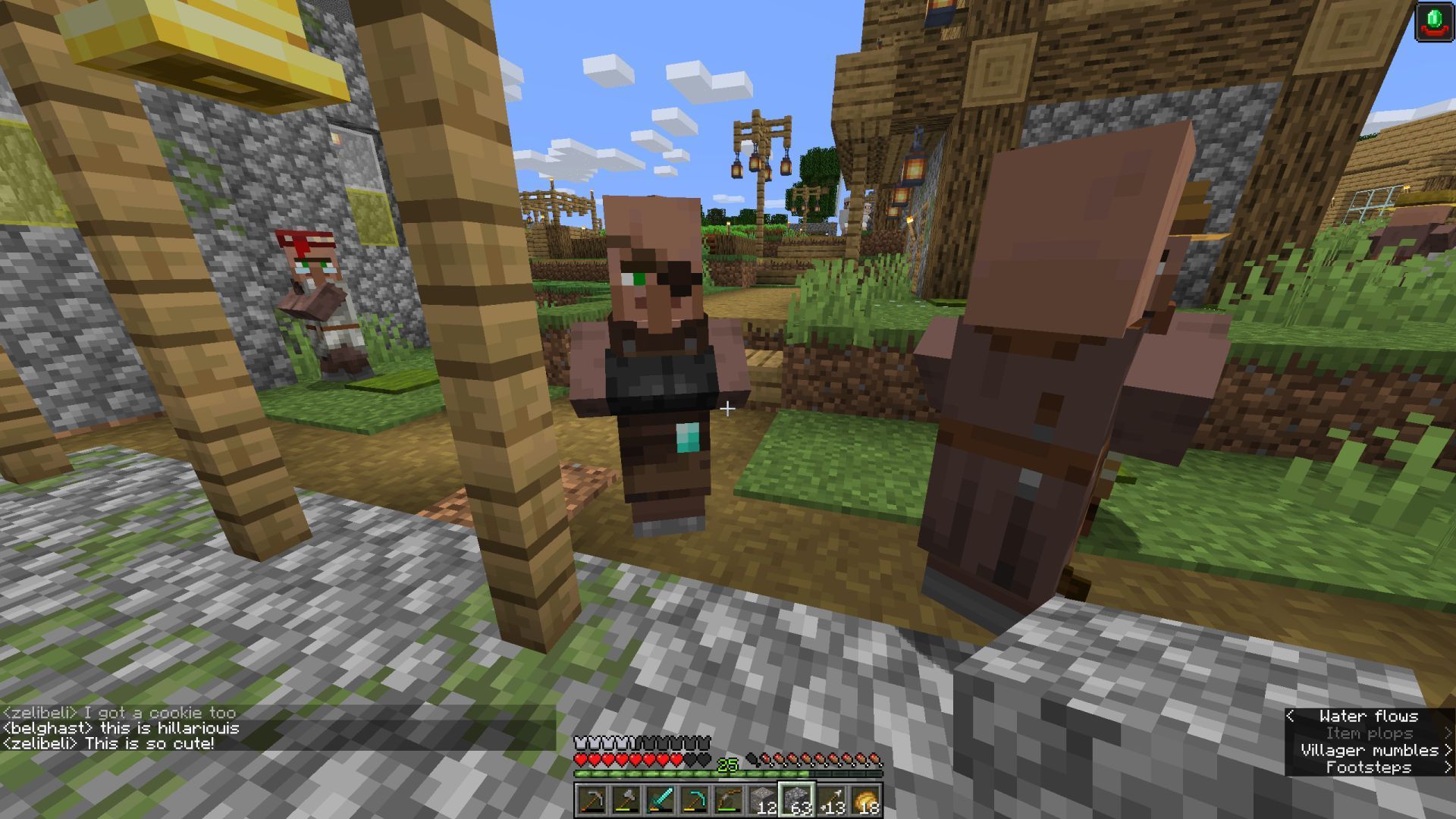 Pillager Wallpapers - Top Free Pillager Backgrounds - WallpaperAccess