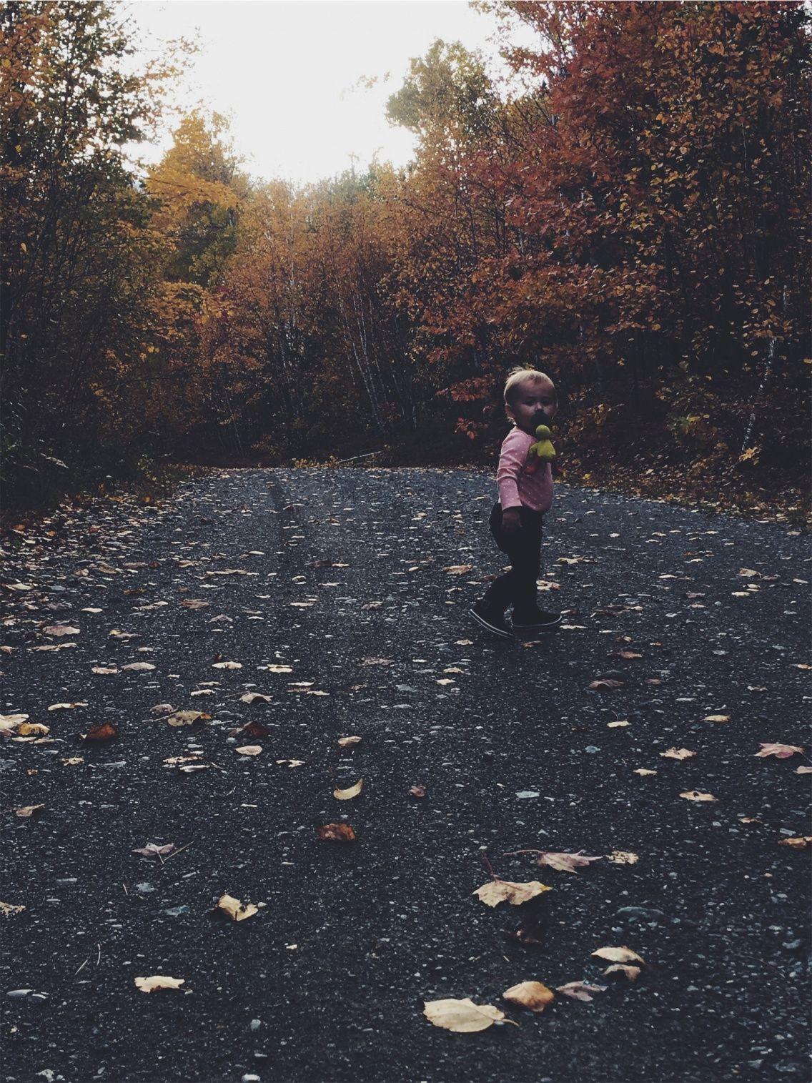 VSCO Girl Autumn Wallpapers - Top Free VSCO Girl Autumn Backgrounds ...