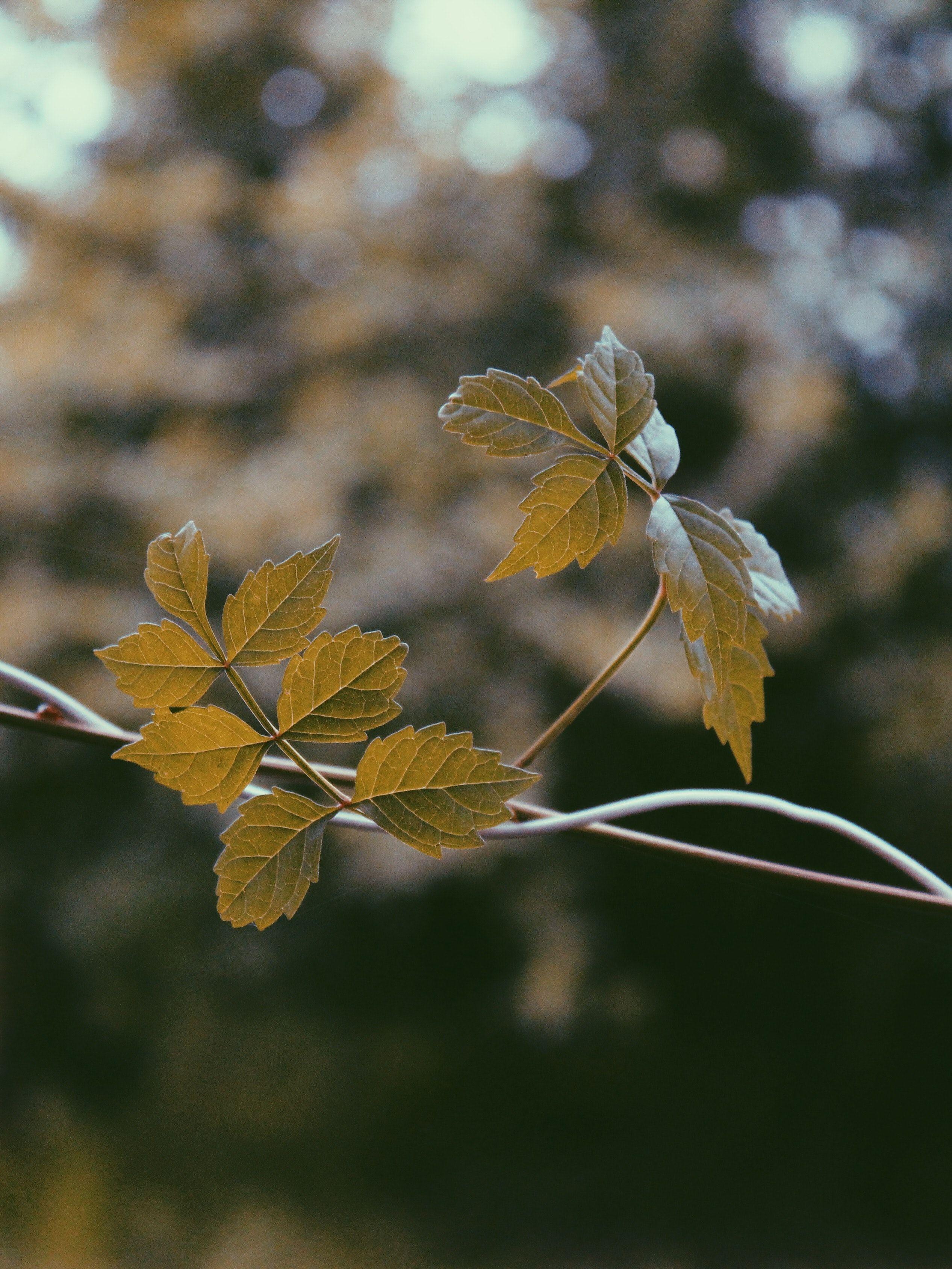 VSCO Girl Autumn Wallpapers - Top Free VSCO Girl Autumn Backgrounds ...