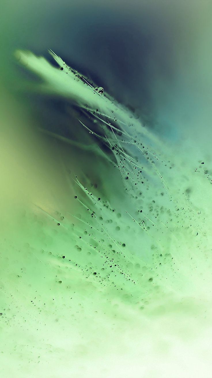 Soft Nature Wallpapers - Top Free Soft Nature Backgrounds - WallpaperAccess