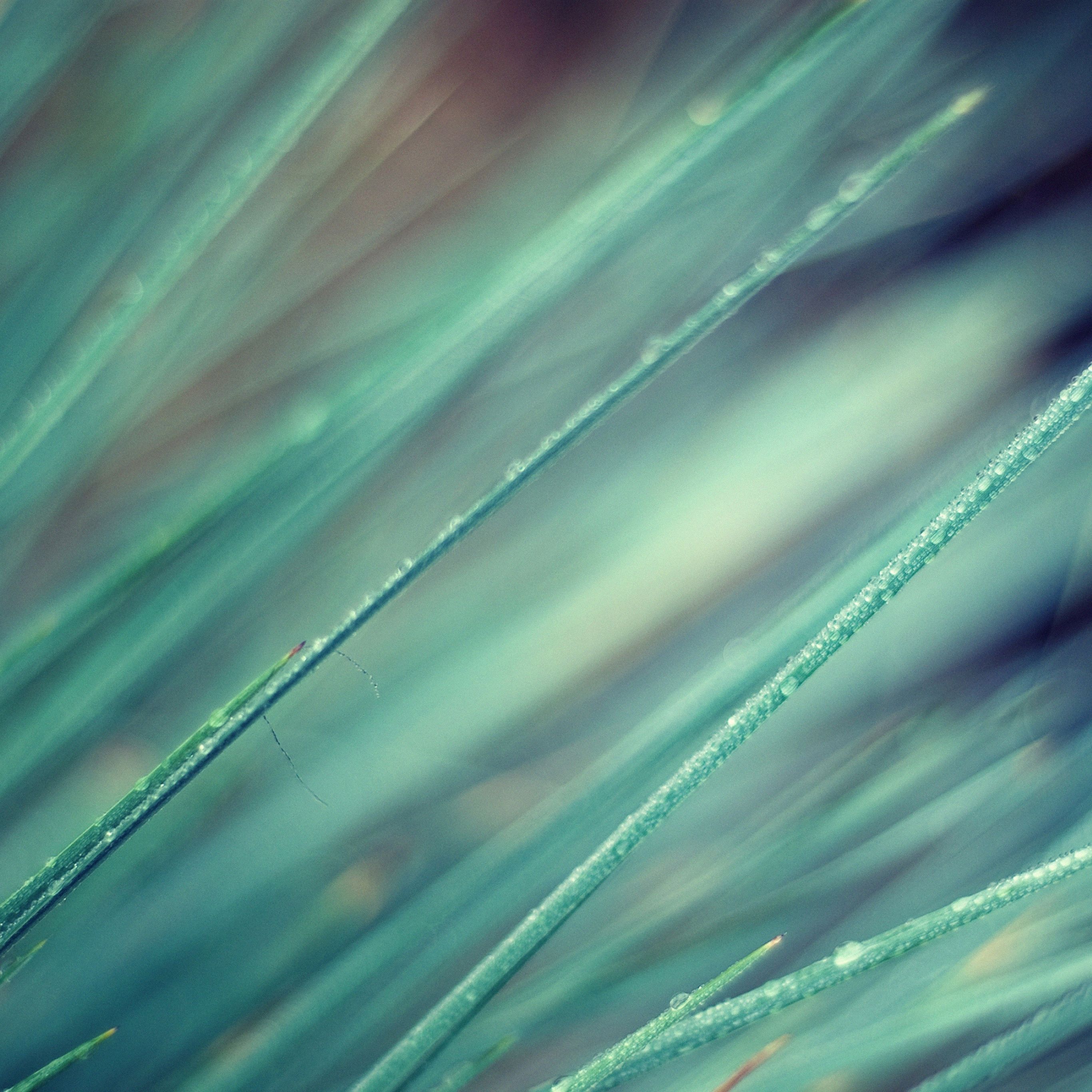 Soft Nature Wallpapers - Top Free Soft Nature Backgrounds - WallpaperAccess