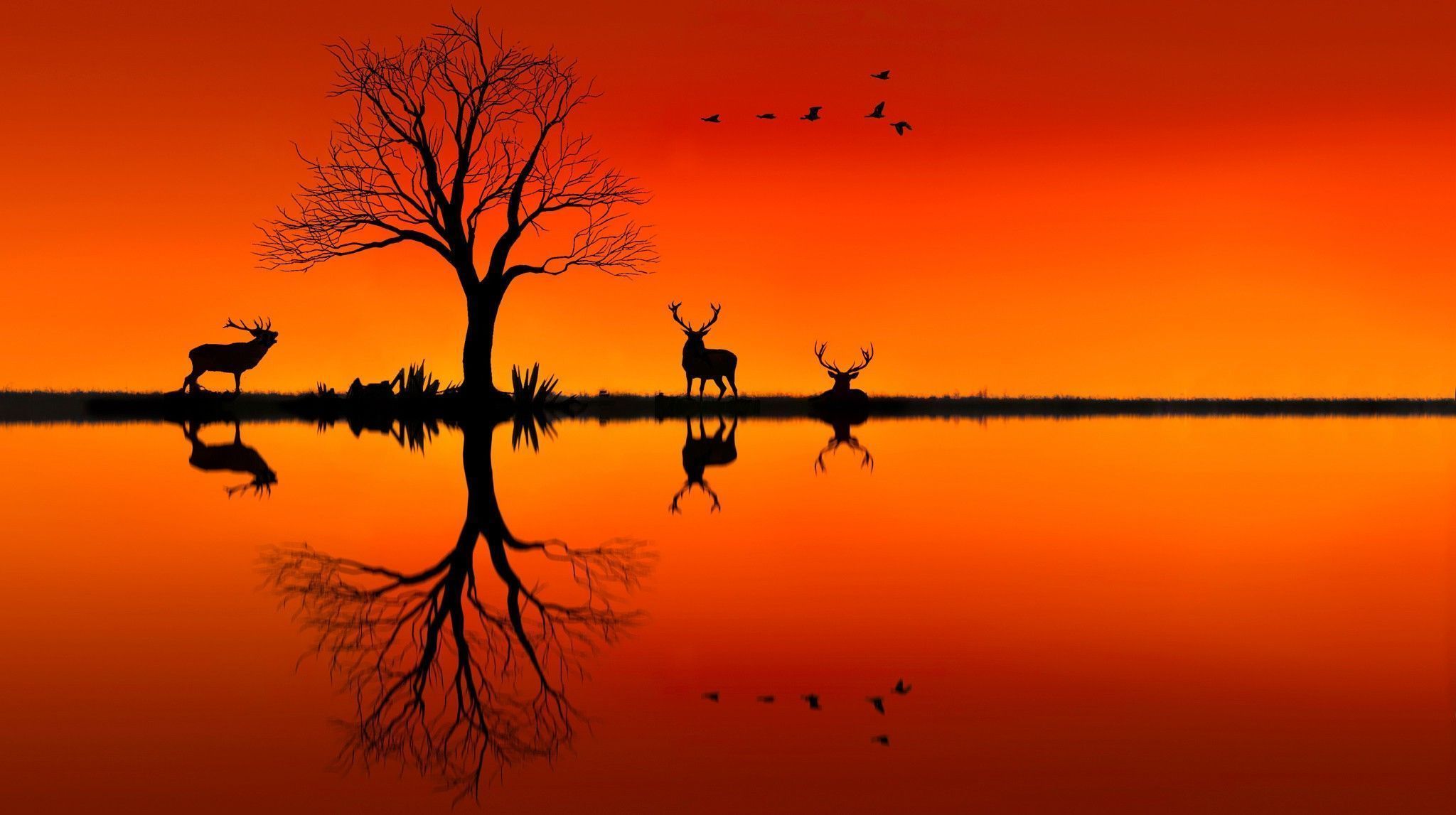 Orange Landscape Wallpapers - Top Free Orange Landscape Backgrounds ...