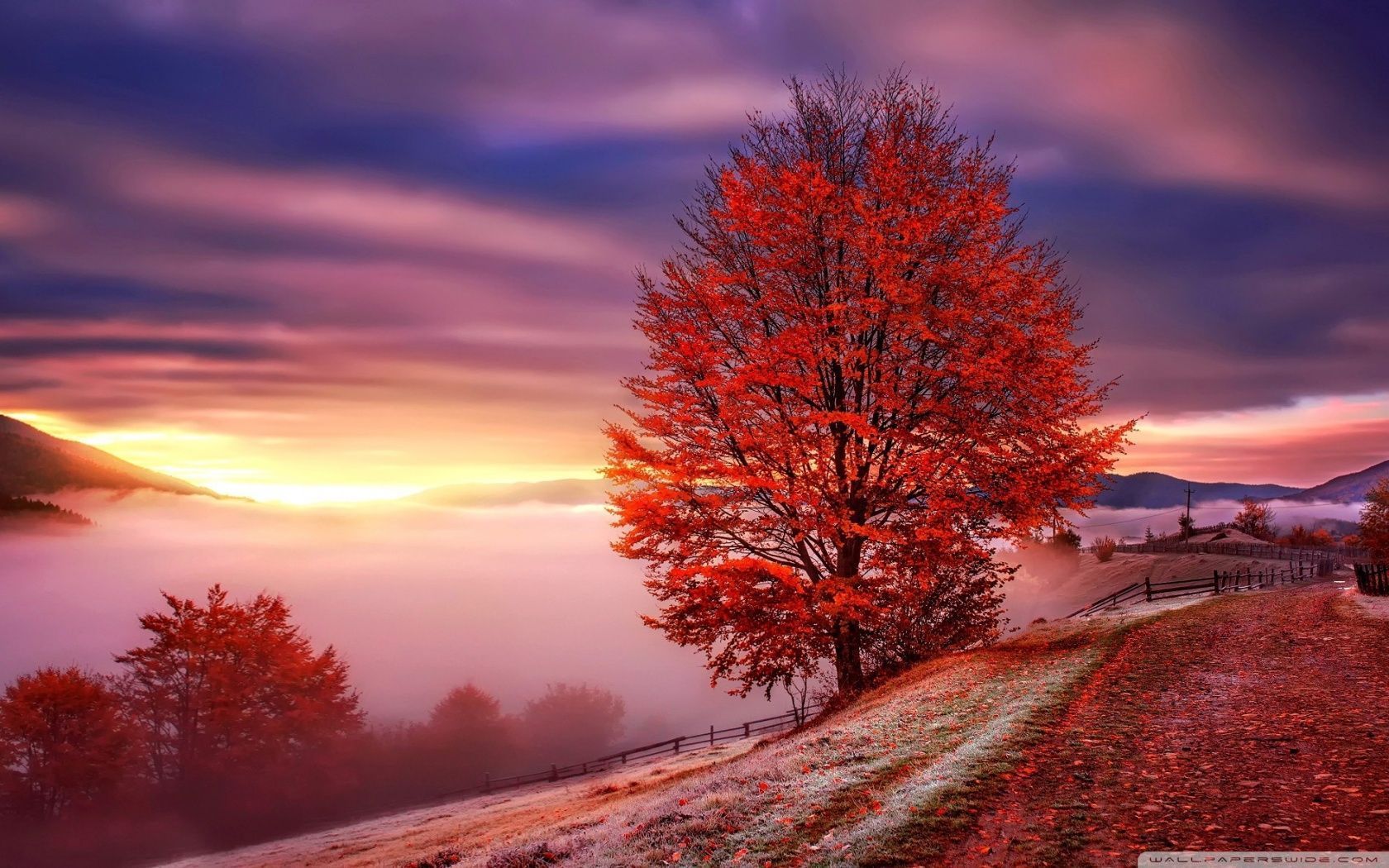 Orange Landscape Wallpapers - Top Free Orange Landscape Backgrounds ...