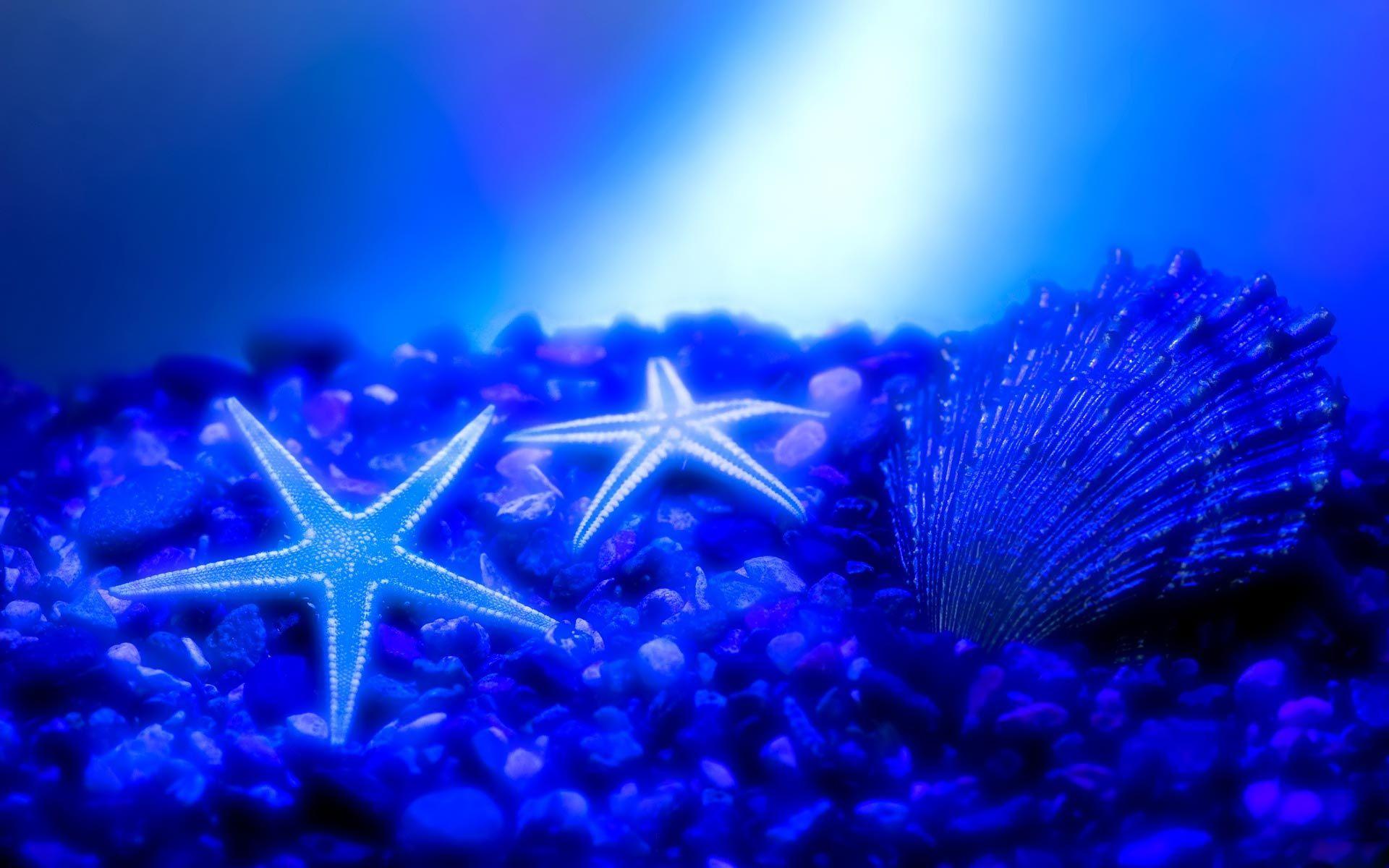 Blue Desktop Wallpapers - Top Free Blue Desktop Backgrounds ...