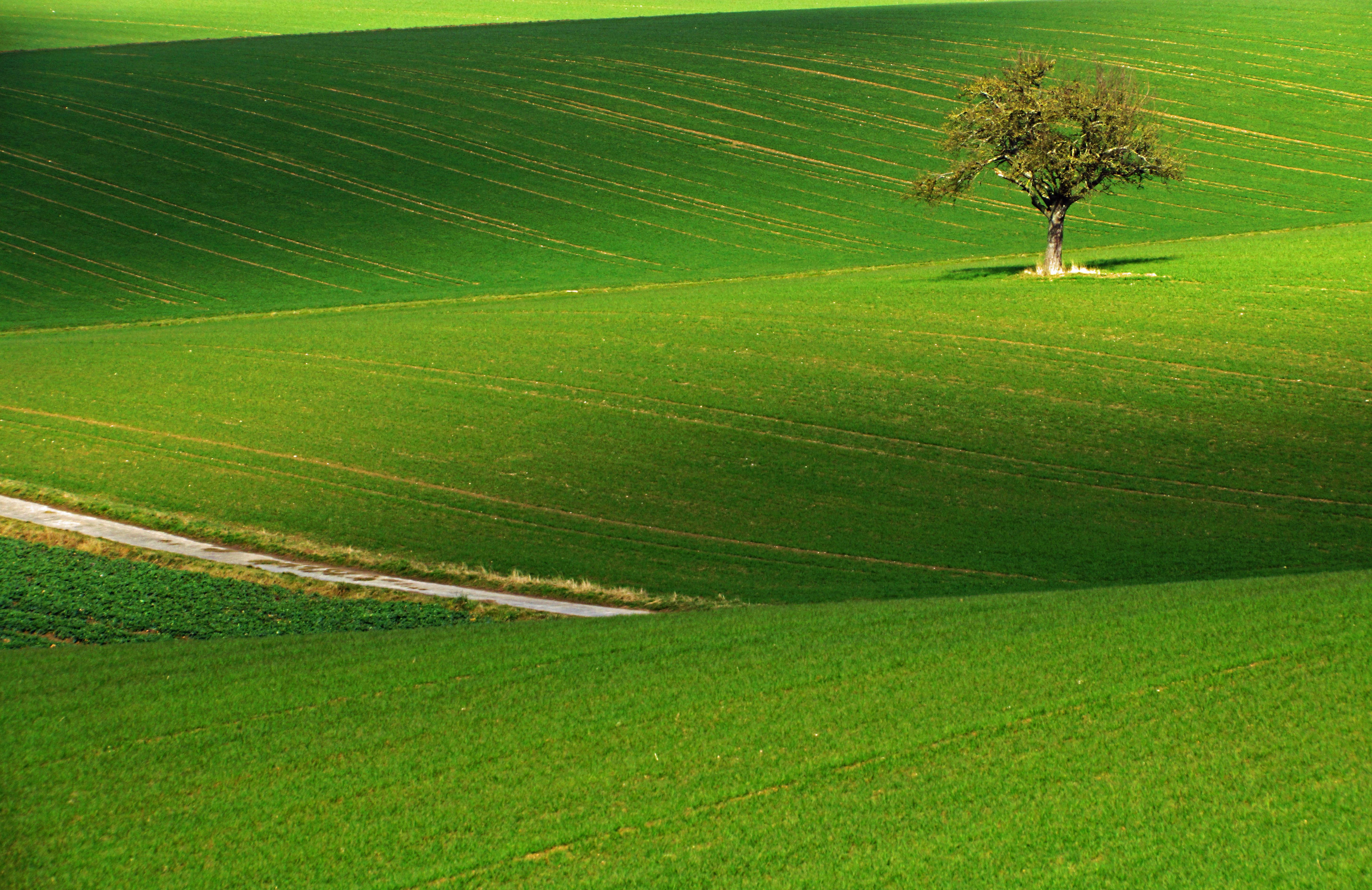 Green Farm Wallpapers - Top Free Green Farm Backgrounds - WallpaperAccess