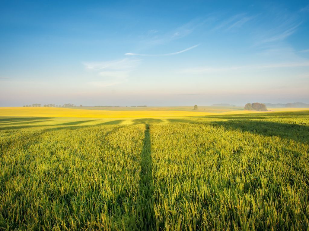 Green Farm Wallpapers - Top Free Green Farm Backgrounds - WallpaperAccess