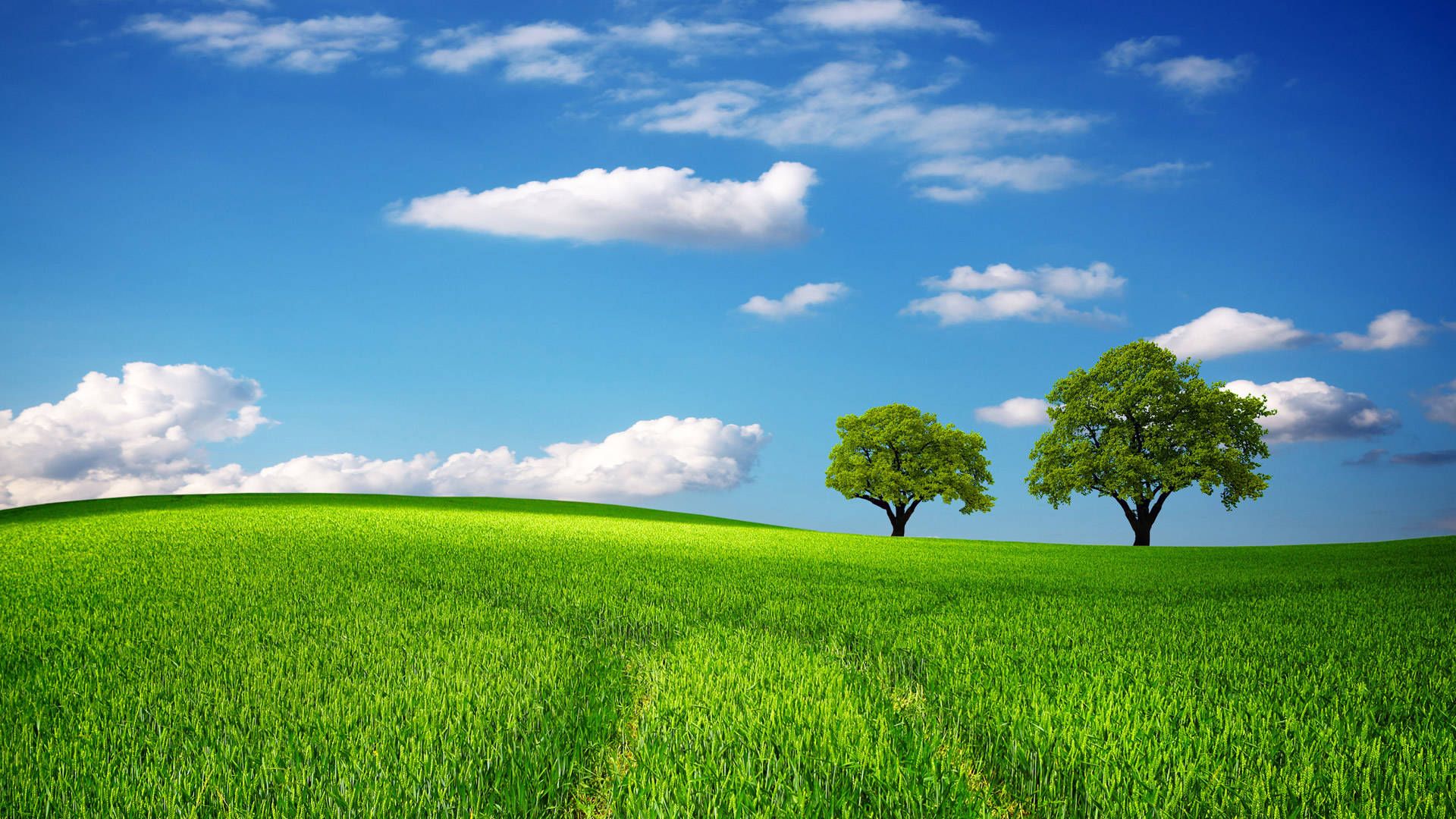 Green Farm Wallpapers - Top Free Green Farm Backgrounds - WallpaperAccess