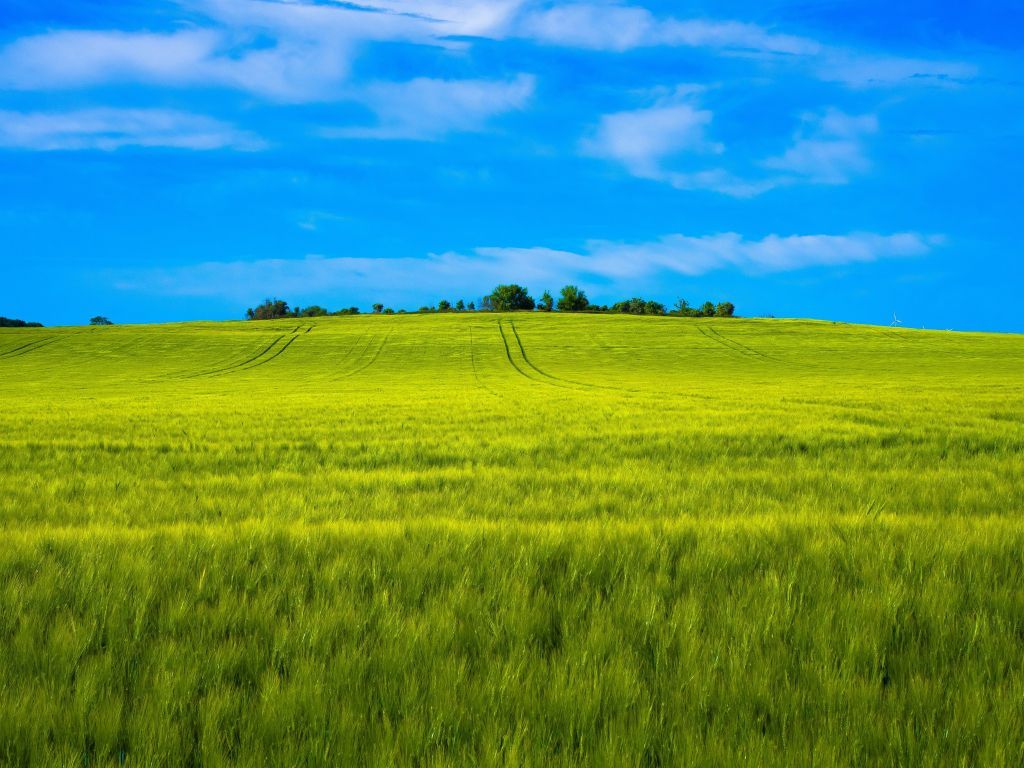 Green Farm Wallpapers - Top Free Green Farm Backgrounds - WallpaperAccess