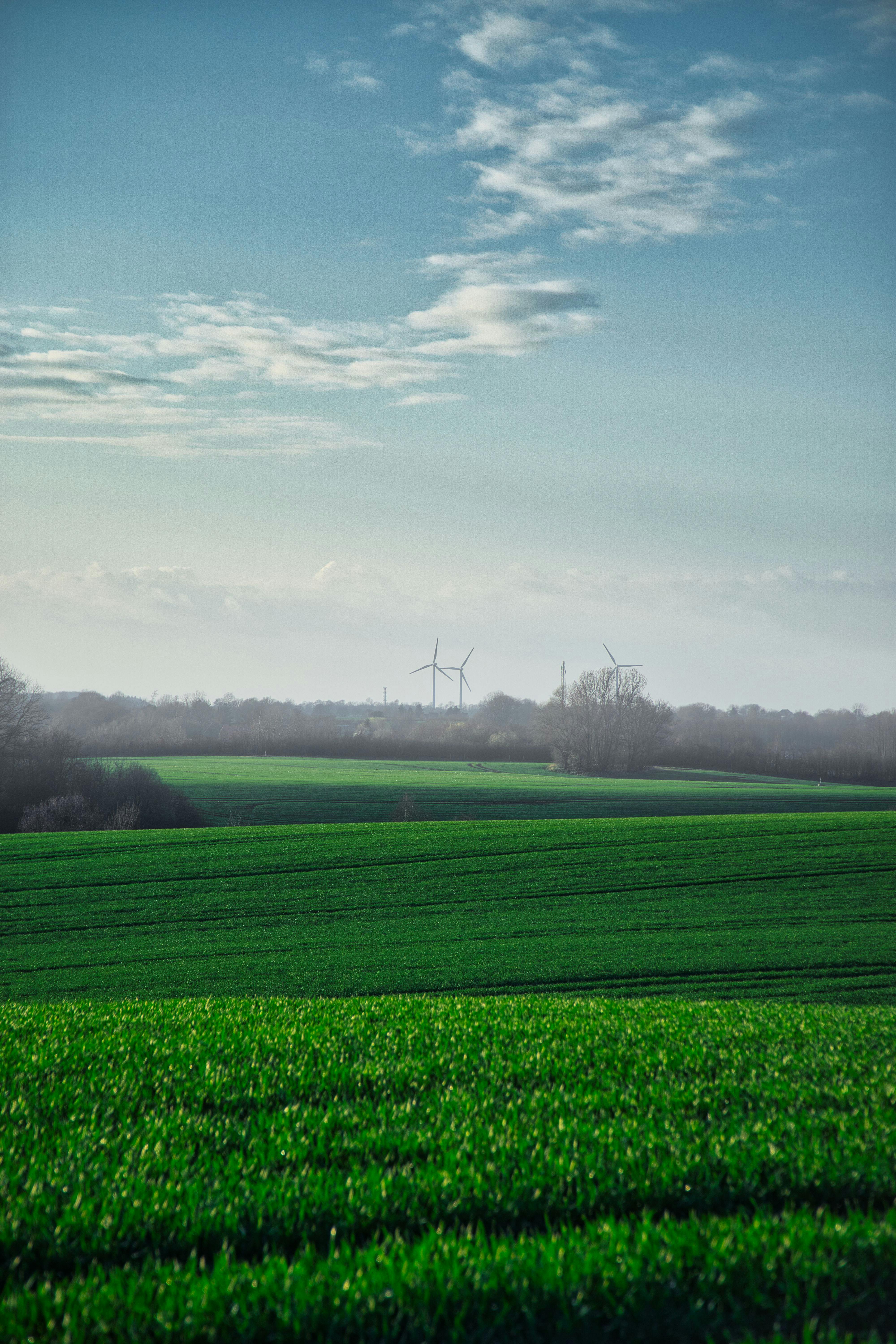 Green Farm Wallpapers - Top Free Green Farm Backgrounds - WallpaperAccess