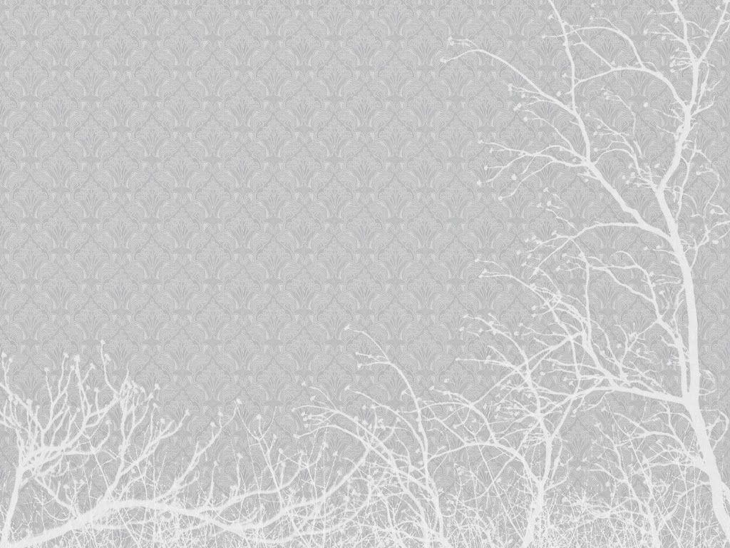 White Desktop Wallpapers - Top Free White Desktop Backgrounds ...