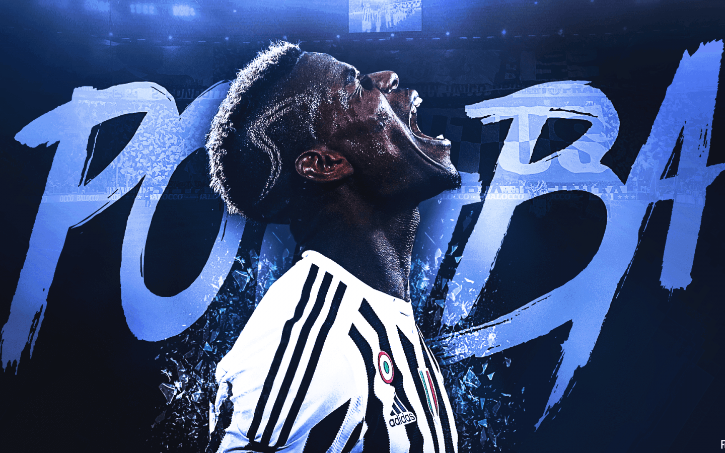 Paul Pogba Wallpapers - Top Free Paul Pogba Backgrounds - WallpaperAccess