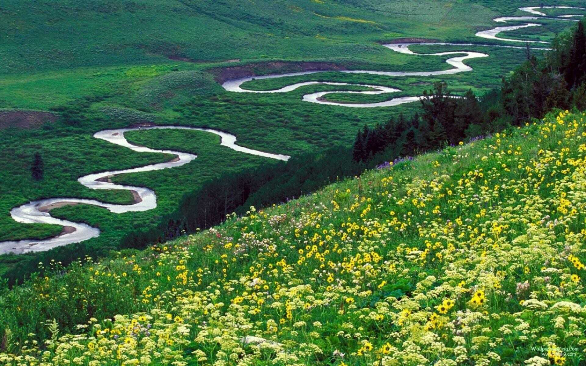 Amazon River Wallpapers - Top Free Amazon River Backgrounds ...