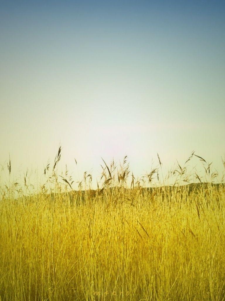 Late Summer Wallpapers - Top Free Late Summer Backgrounds - WallpaperAccess