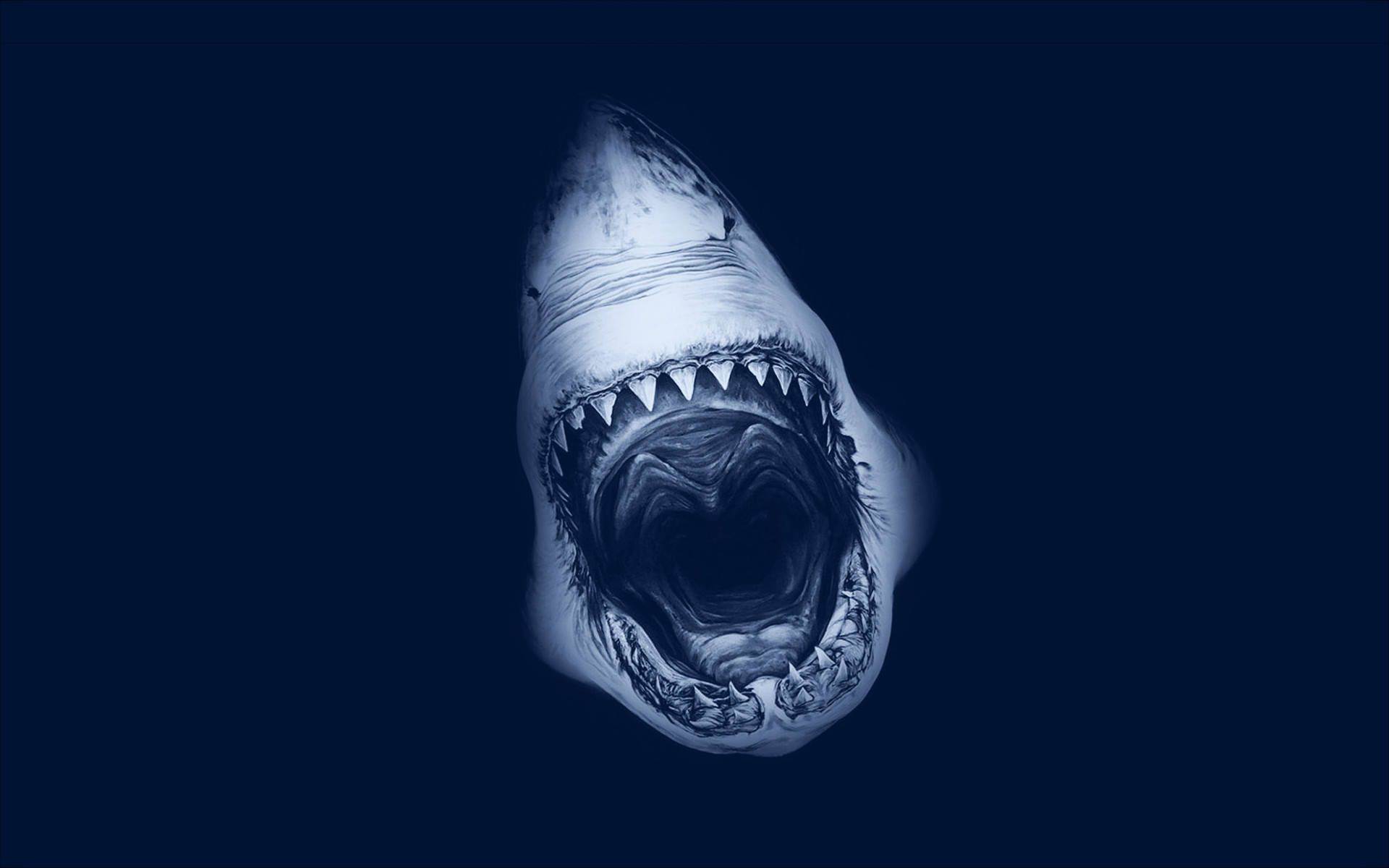 Shark Mouth Wallpapers - Top Free Shark Mouth Backgrounds - WallpaperAccess