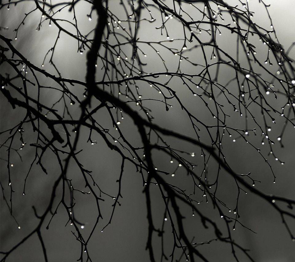 Autumn Rain Wallpapers - Top Free Autumn Rain Backgrounds - WallpaperAccess